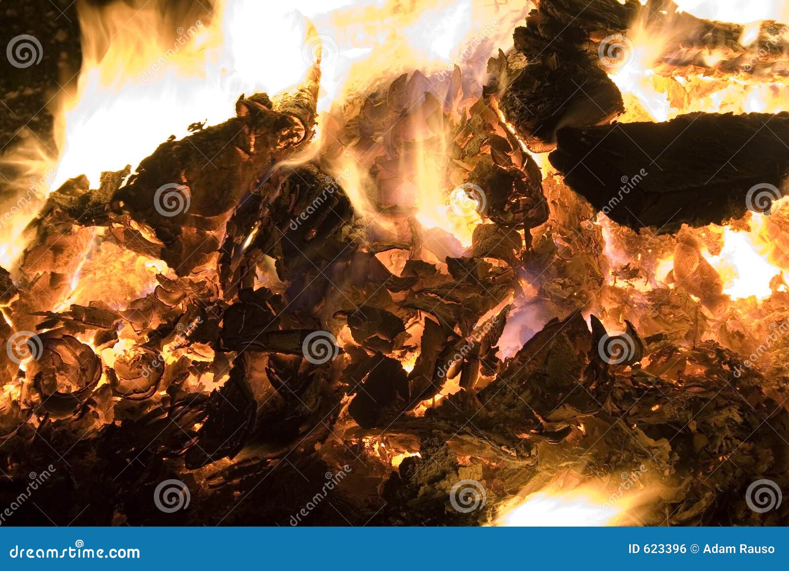 Fire (macro) stock photo. Image of bonfire, heat, flicker - 623396