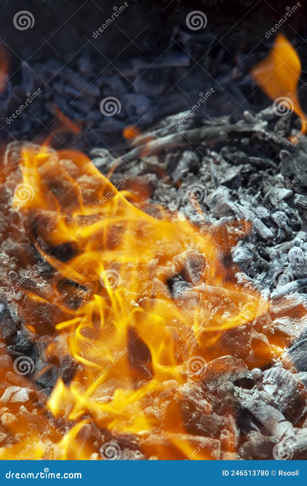 A Fire Made of Logs with a Bright Flame at a Camping while Cooking ...