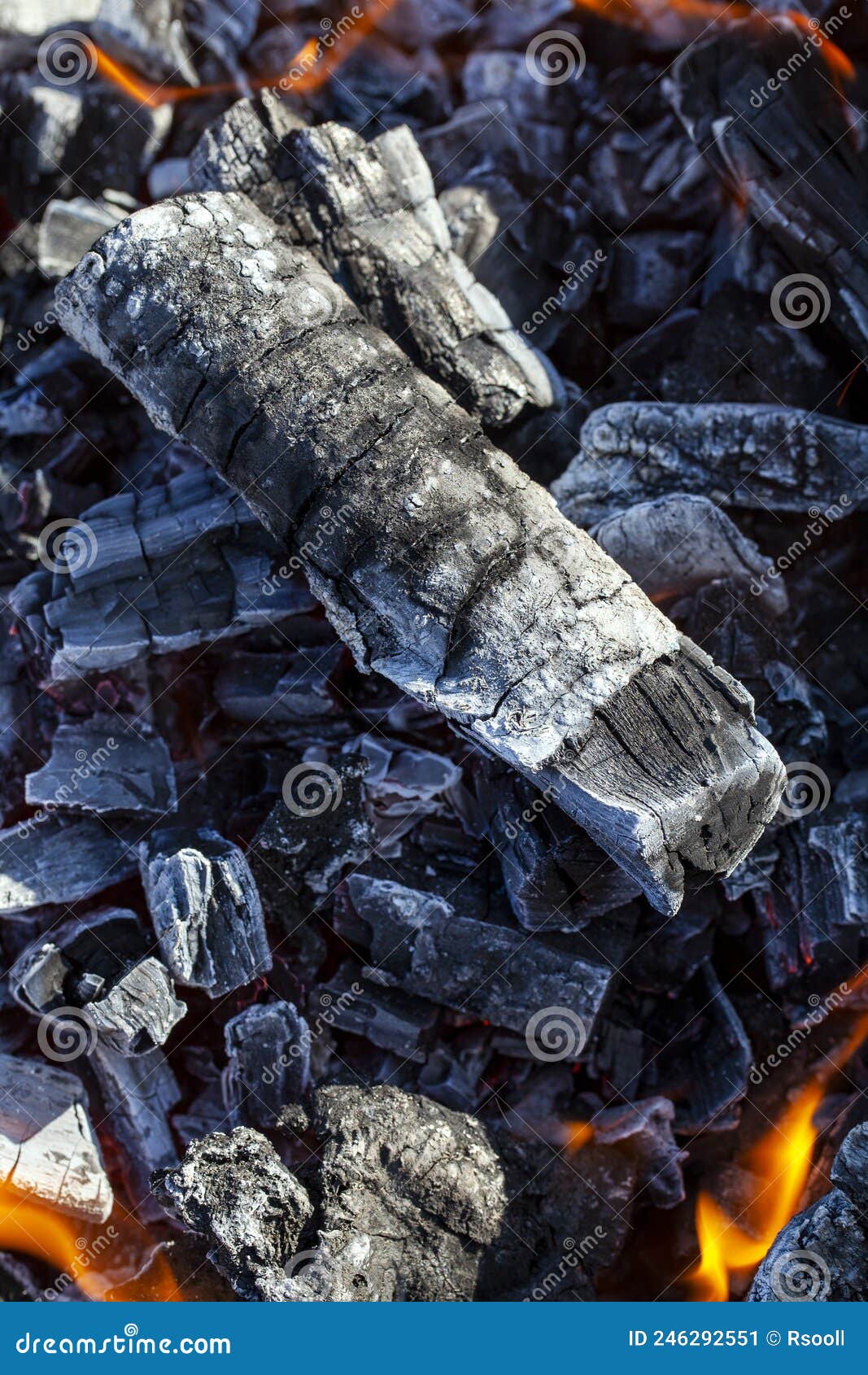 A Fire Made of Logs with a Bright Flame at a Camping while Cooking ...