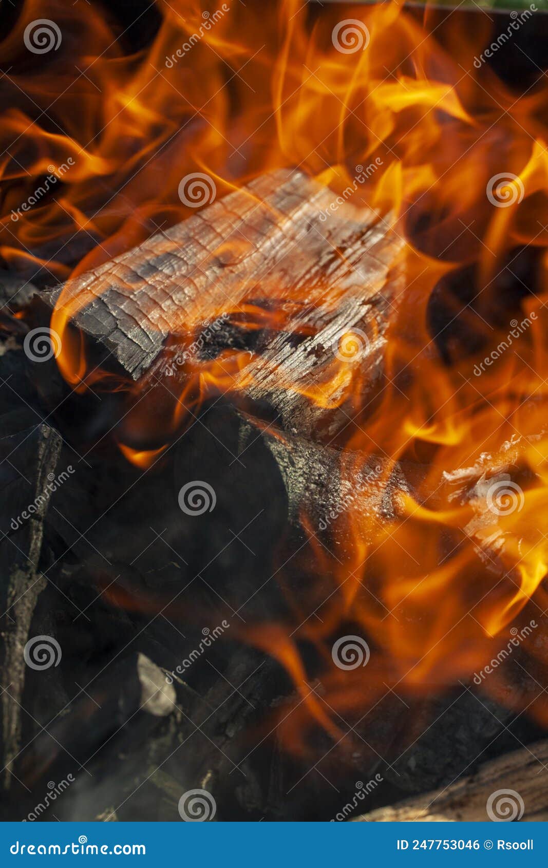 A Fire Made of Logs with a Bright Flame at a Camping while Cooking ...