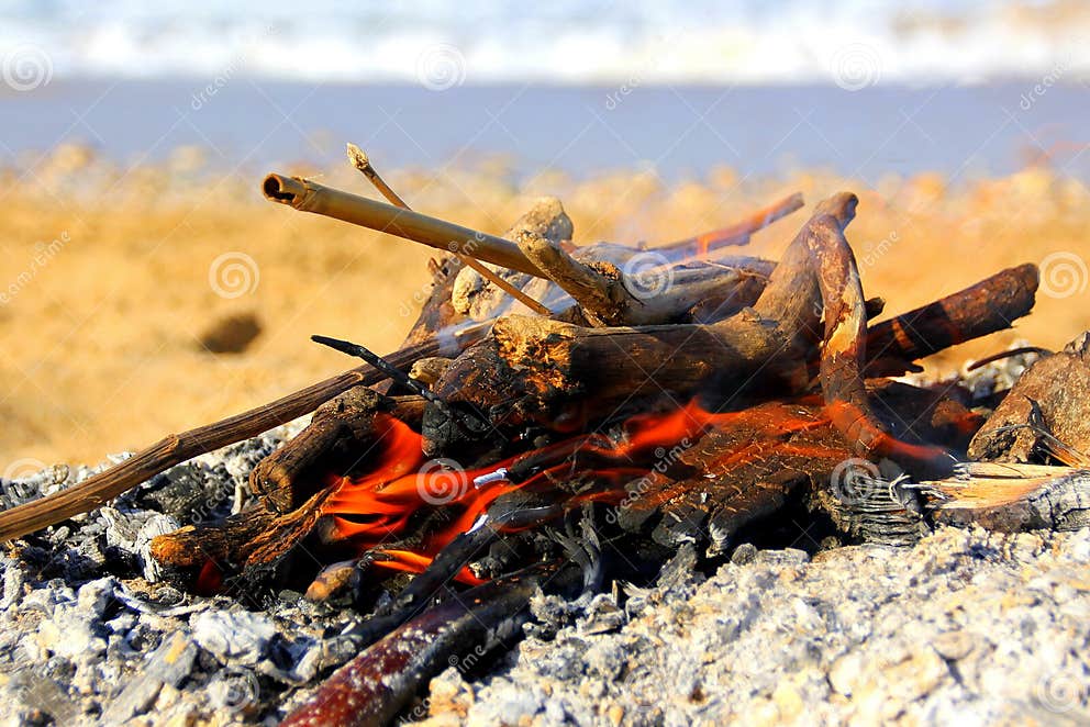 Fire - Intensive Oxidation Process Stock Photo - Image of main, summer ...
