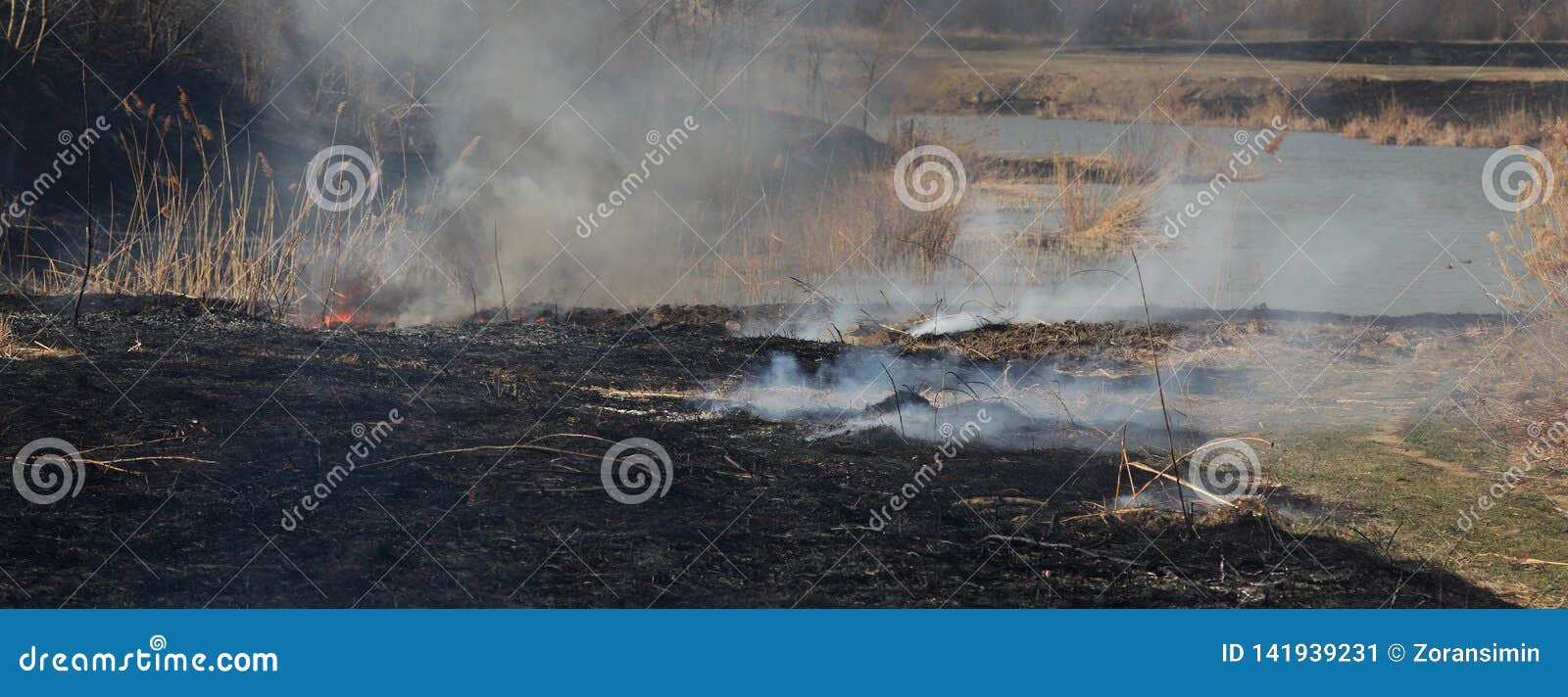 Fire in Marsh, Natural Disaster Stock Image - Image of nature, burnt ...