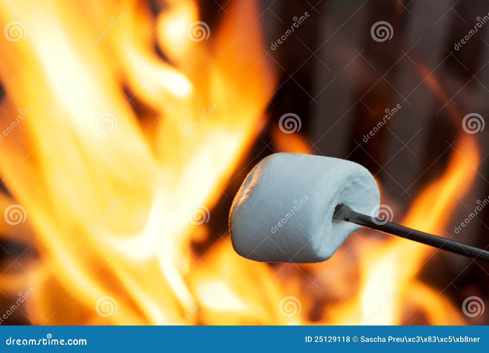 Fire with marshmallow stock photo. Image of heat, summer - 25129118