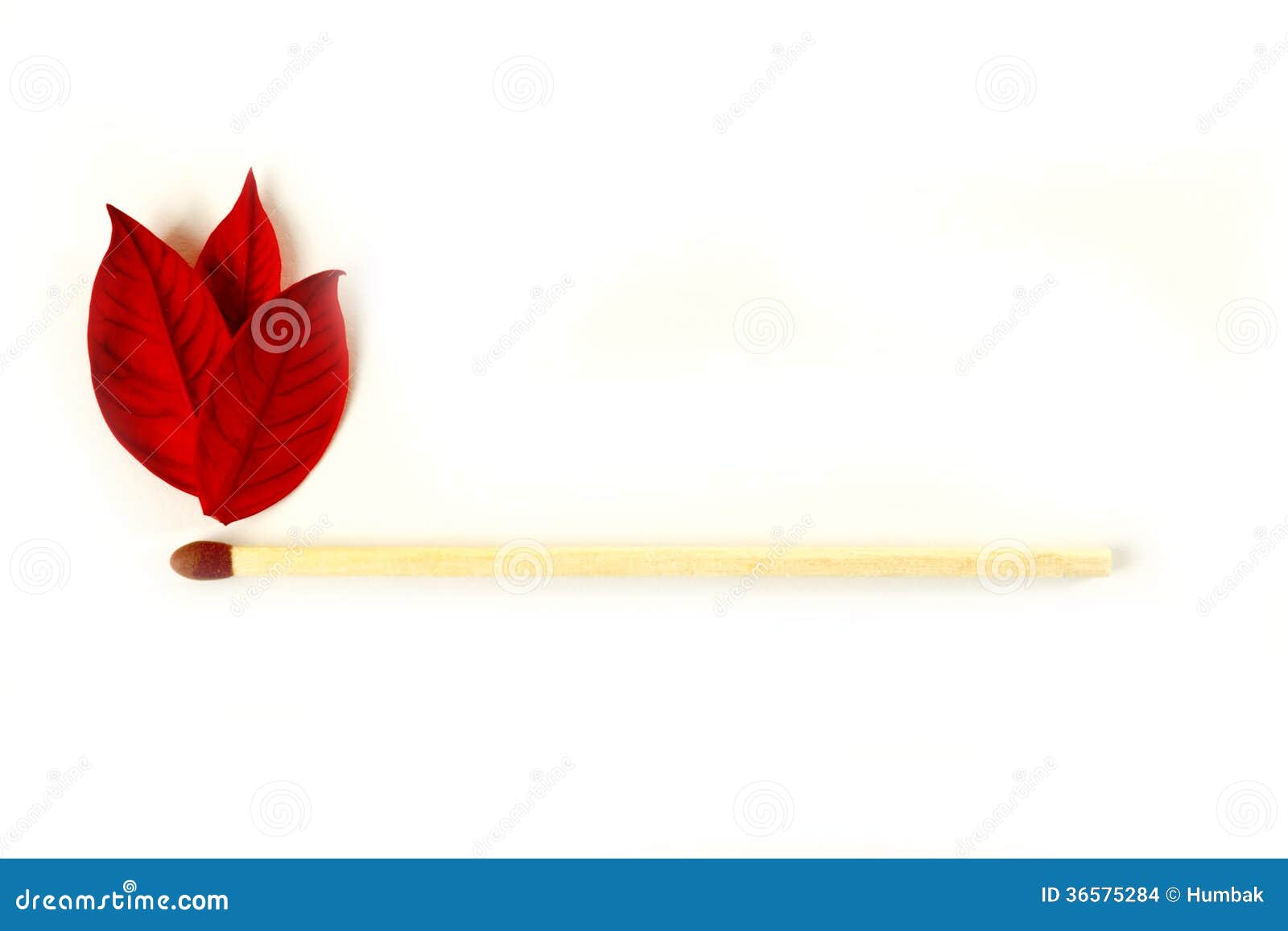 Fire on match stock photo. Image of background, match - 36575284