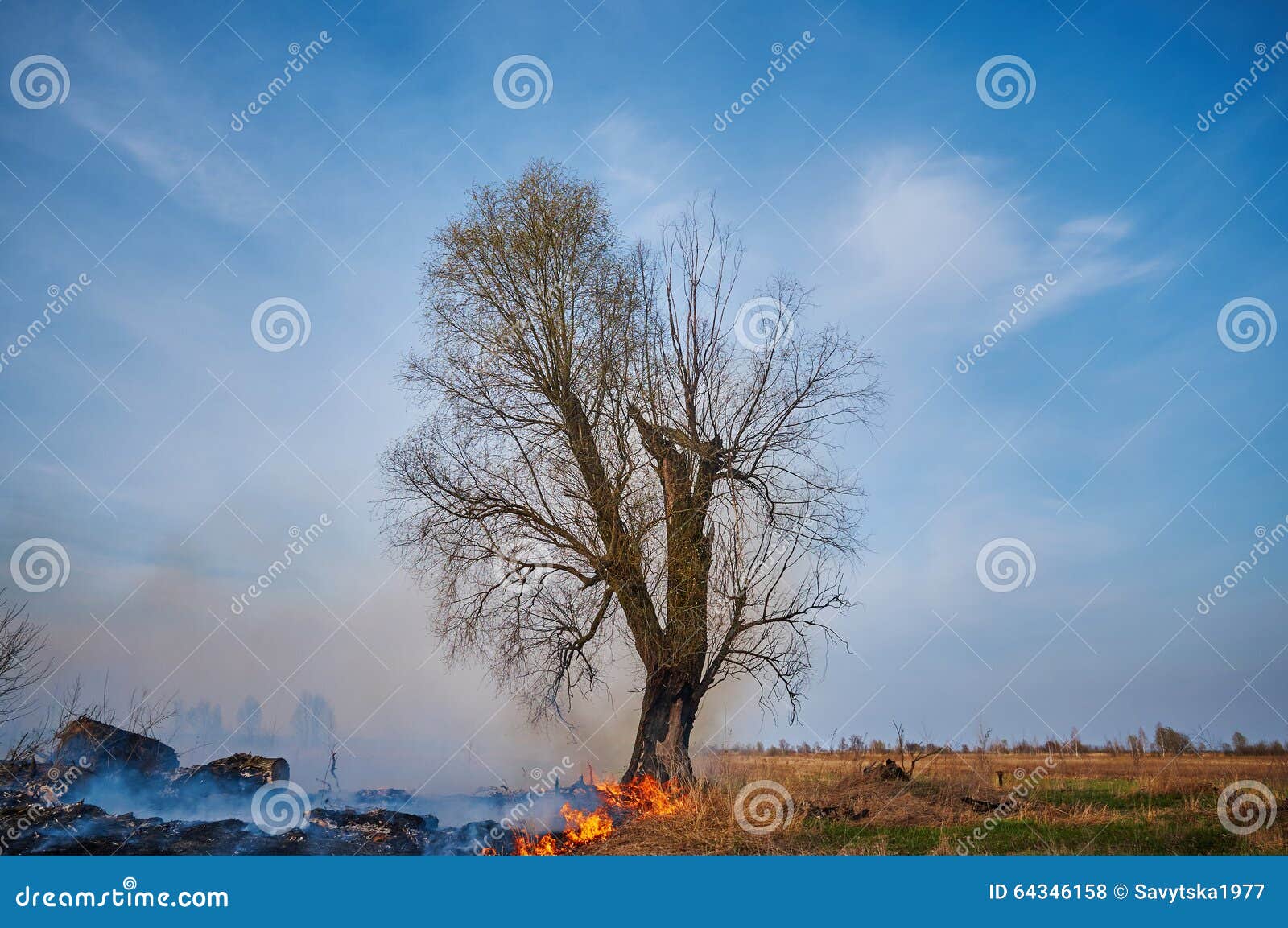 Fire in the meadow stock photo. Image of danger, environmental - 64346158