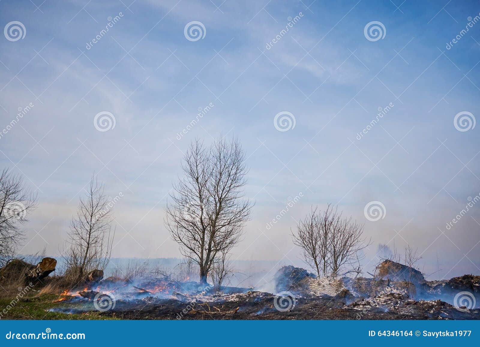 Fire in the meadow stock photo. Image of meadow, wind - 64346164