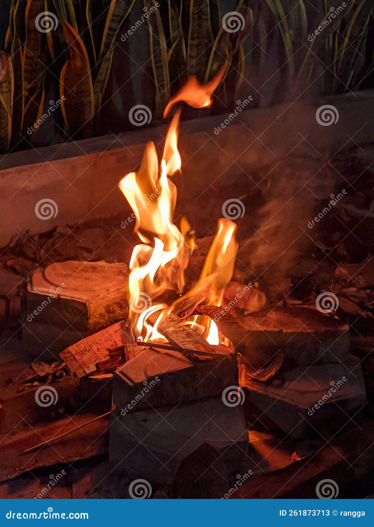 Fire Midnight Warm Hot Wood Stock Image - Image of fire, midnight ...