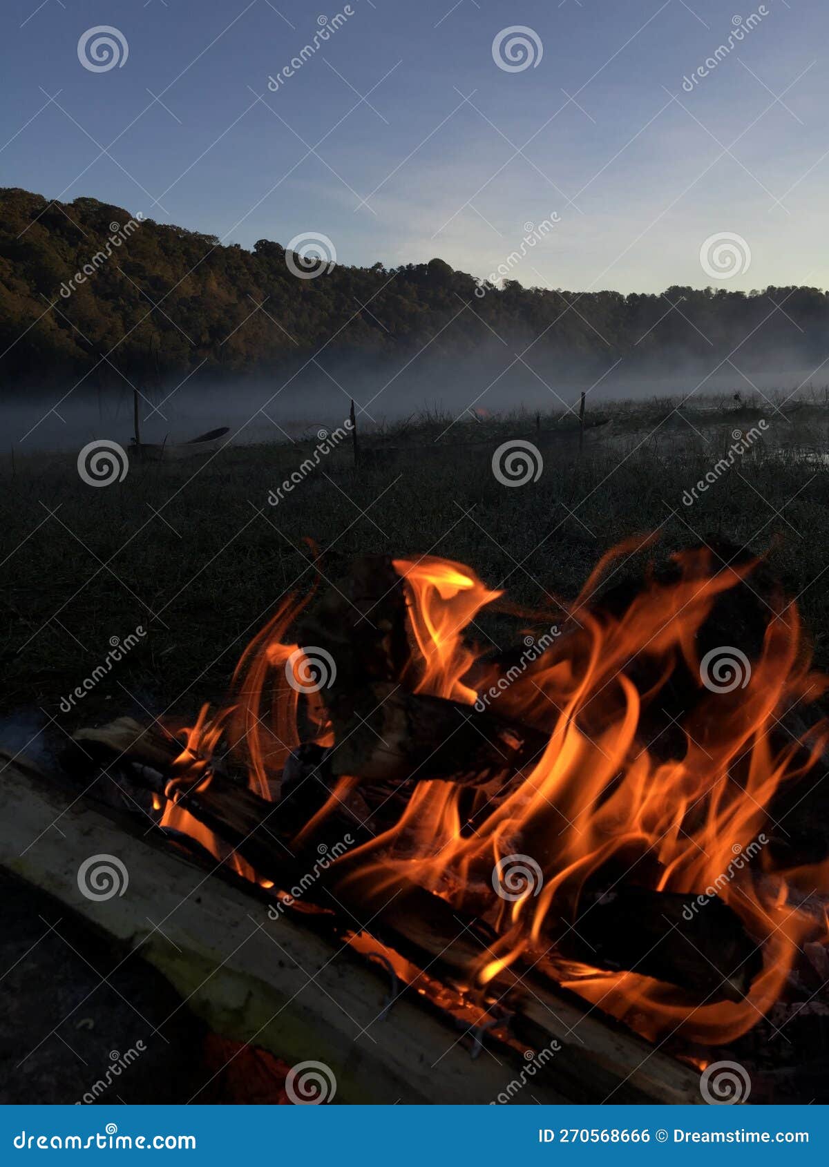 Fire in the morning stock photo. Image of chill, vibe - 270568666