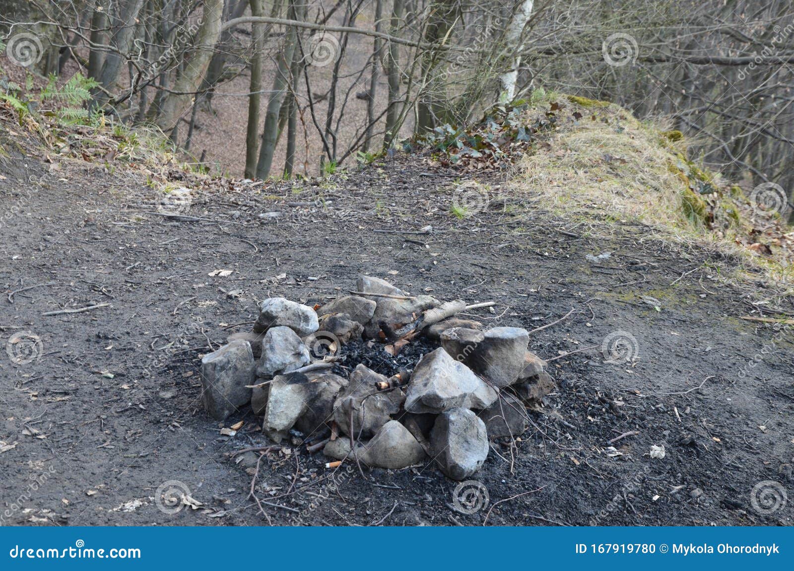 Fire in the Natural Environment Stock Photo - Image of fireside, dark ...