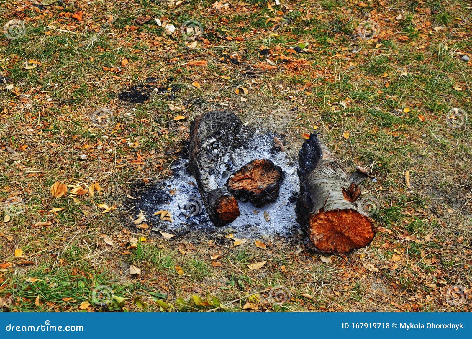 Fire in the Natural Environment Stock Photo - Image of fire, fervour ...