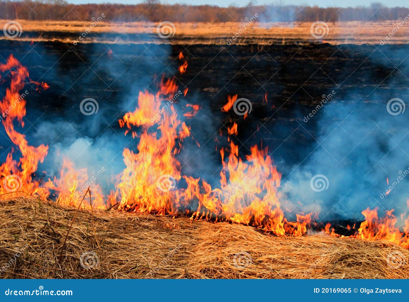 Fire on the nature stock image. Image of insurance, grass - 20169065