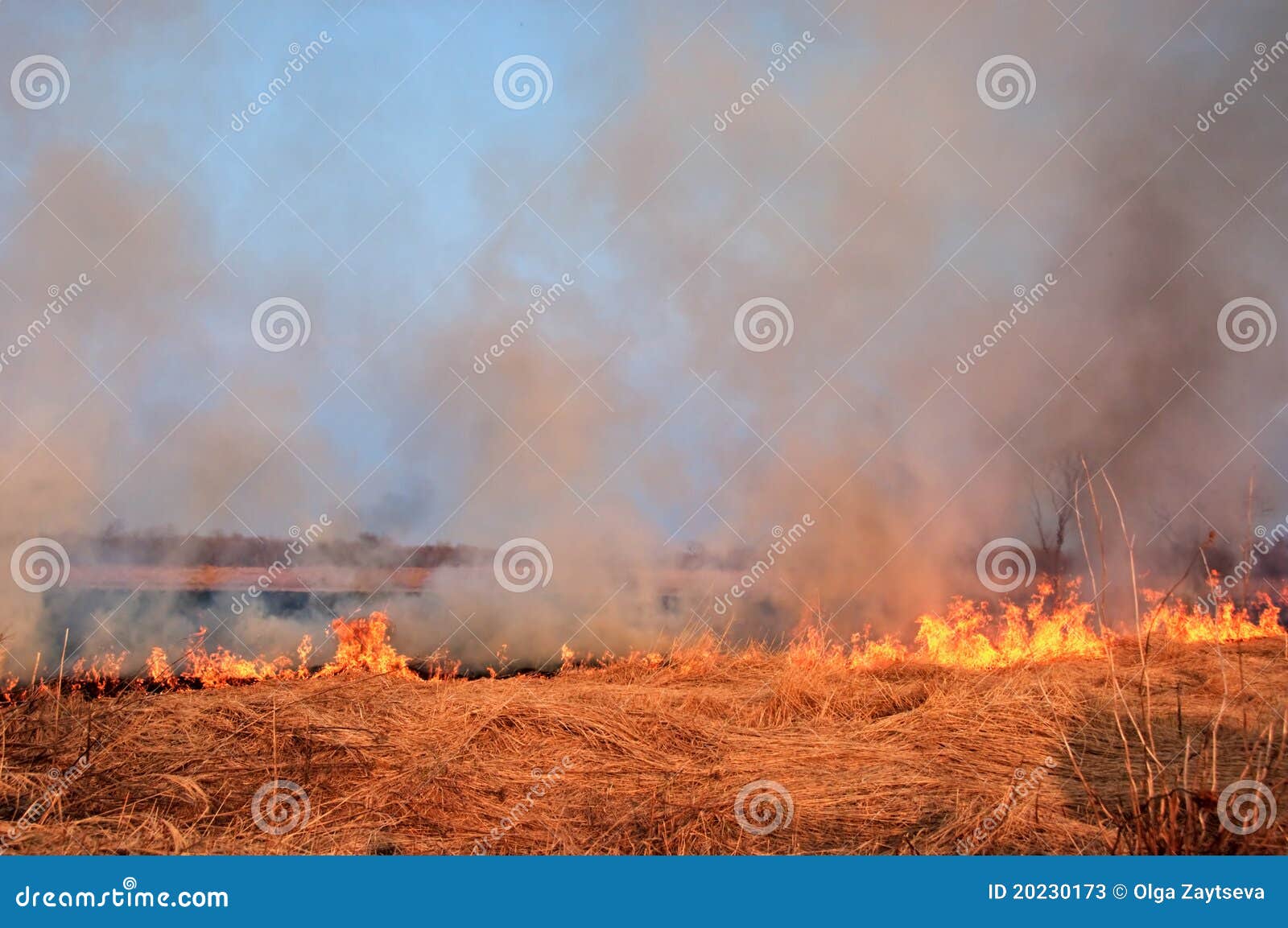 Fire on the nature stock image. Image of heat, field - 20230173
