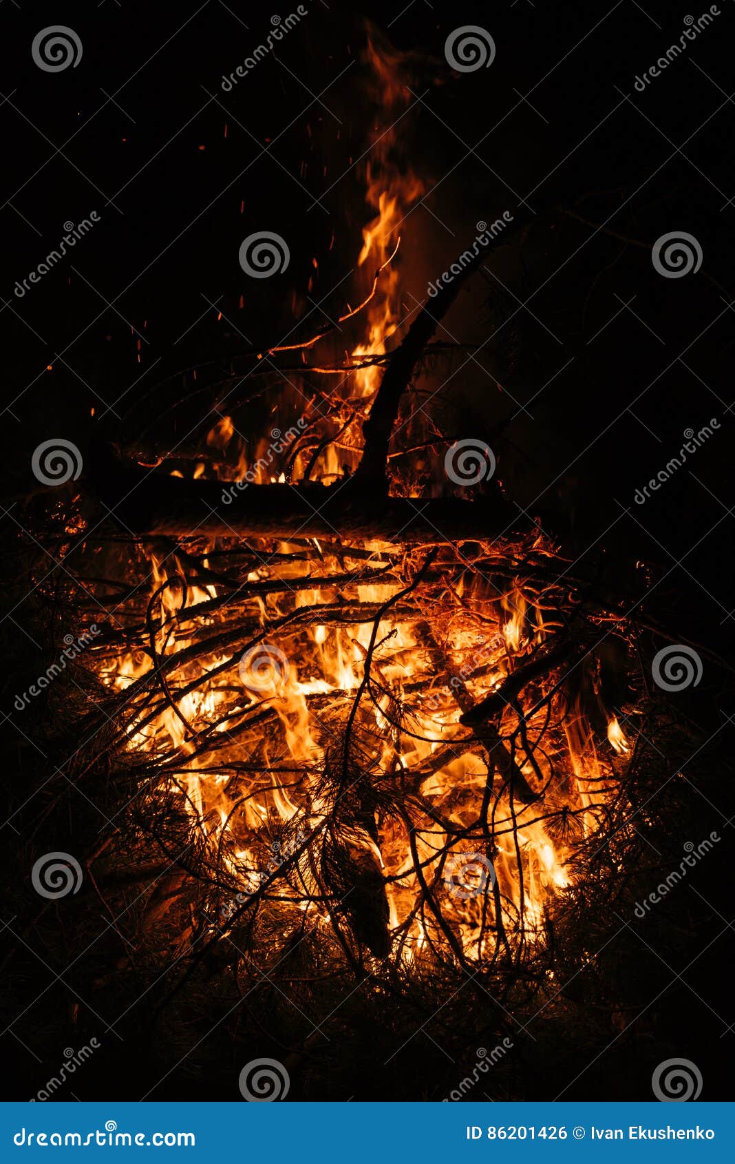 Fire in nature. stock photo. Image of abstract, light - 86201426