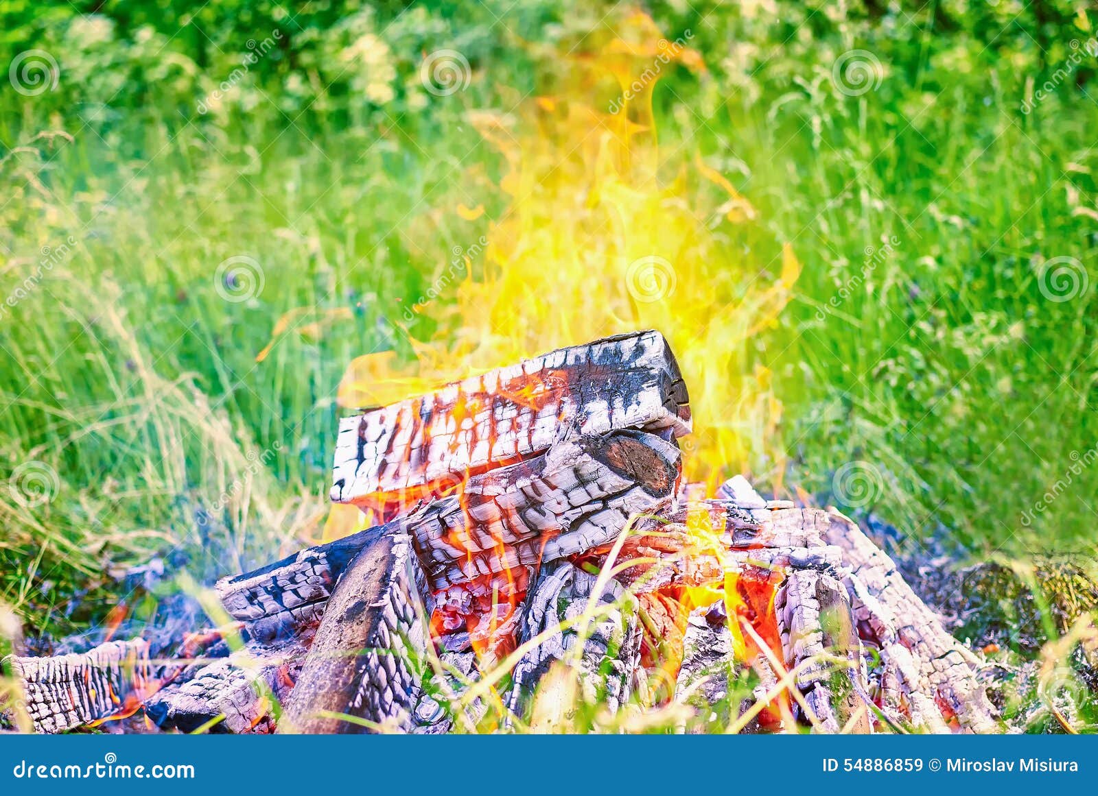 Fire in nature stock image. Image of outdoors, flame - 54886859