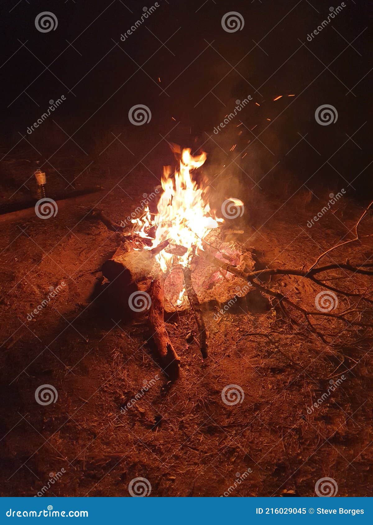 Fire in the nature stock image. Image of darkness, event - 216029045