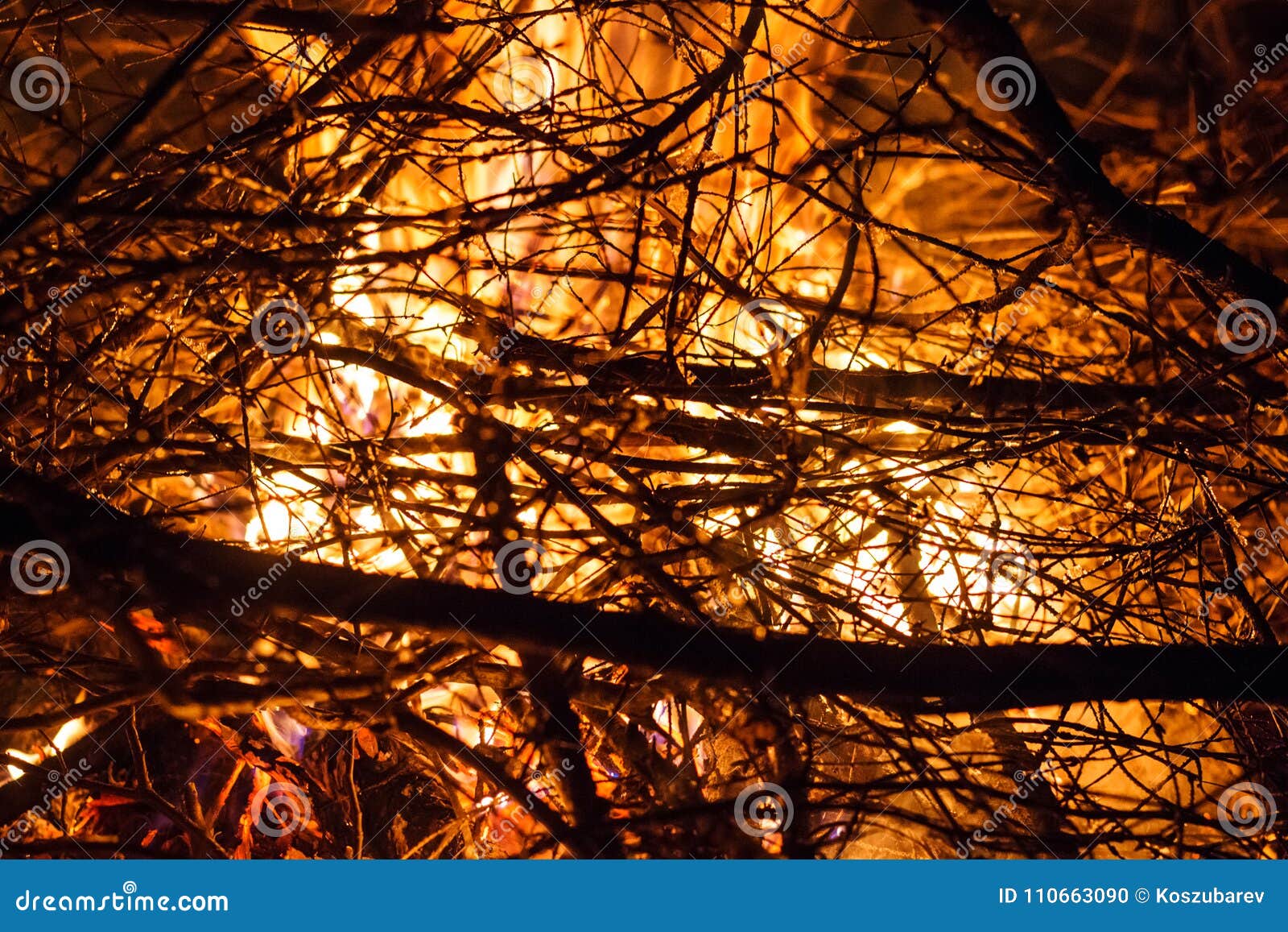 Fire in nature stock photo. Image of night, beach, long - 110663090