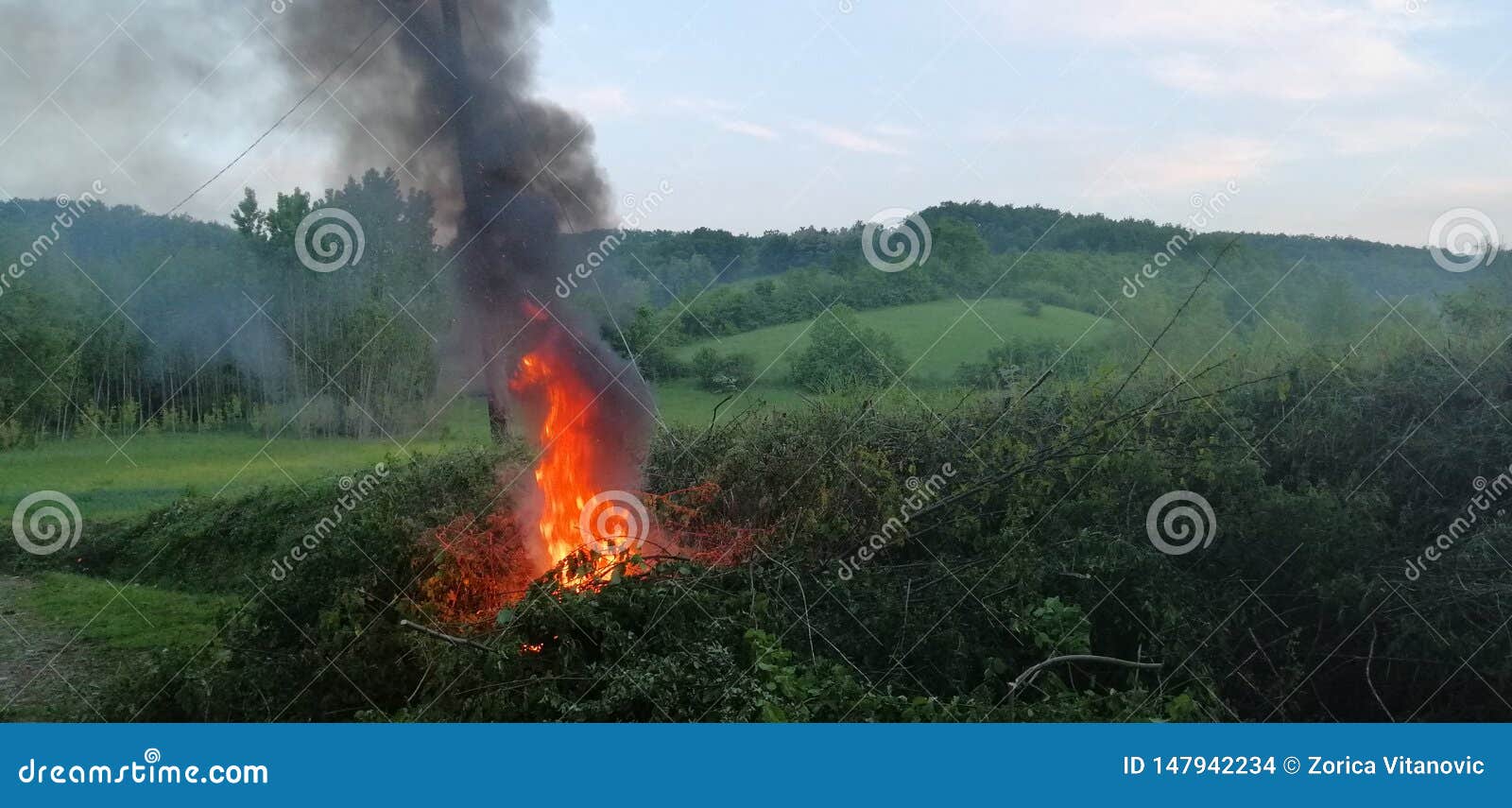 Fire in nature stock photo. Image of orange, nature - 147942234