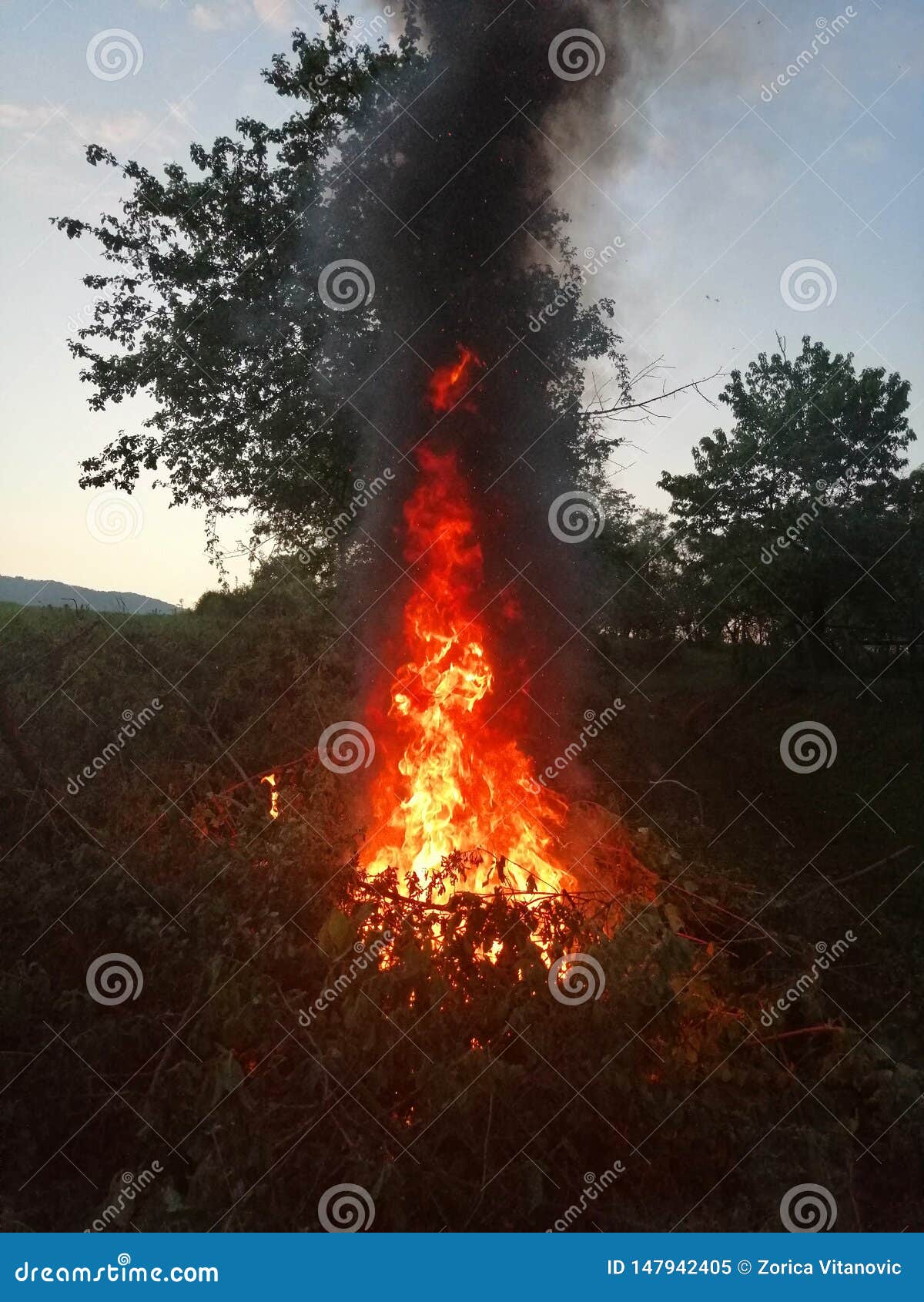 Fire in nature stock image. Image of green, fire, nature - 147942405