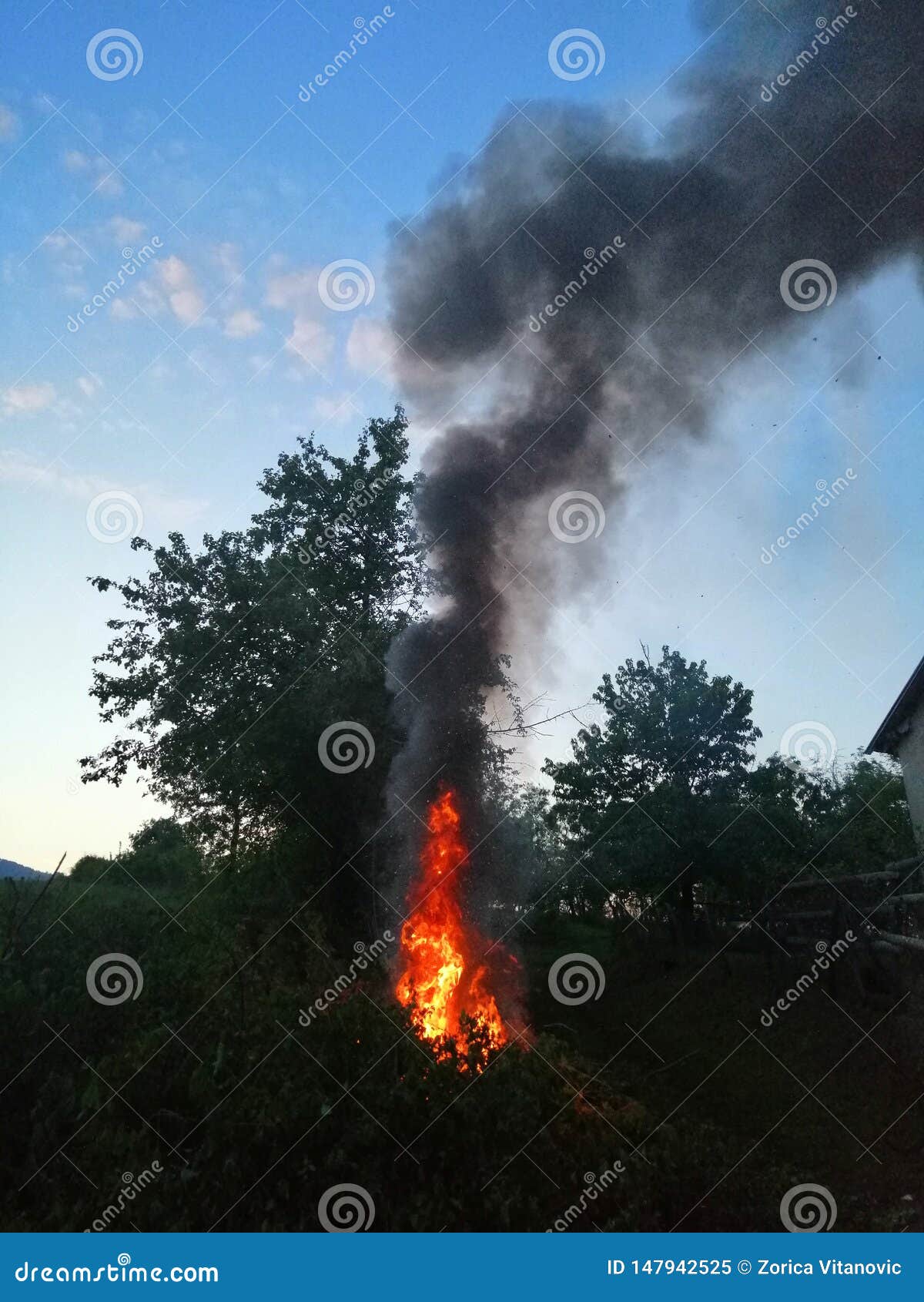 Fire in nature stock image. Image of orange, nature - 147942525