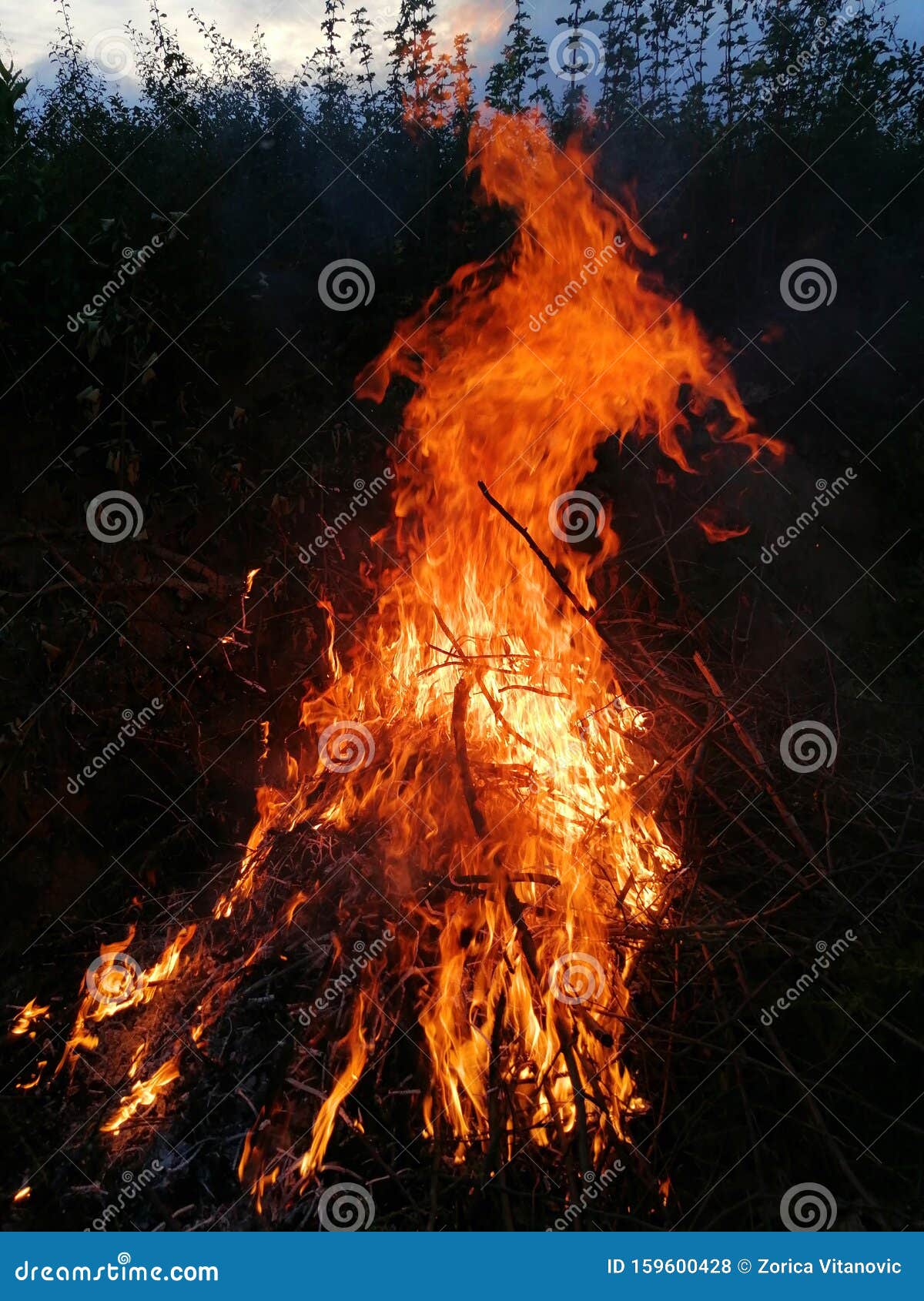 Fire in nature stock photo. Image of blue, ozon, land - 159600428