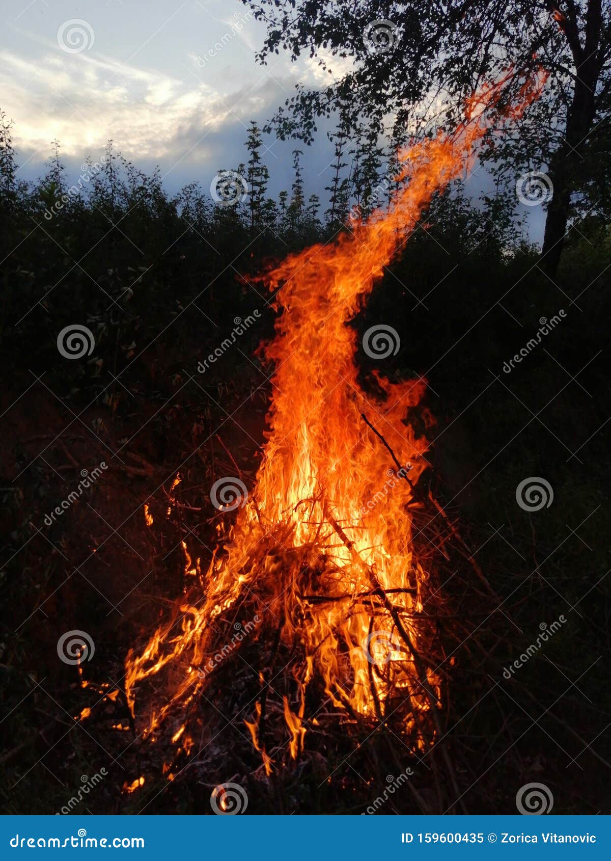 Fire in nature stock image. Image of blue, forest, ozon - 159600435
