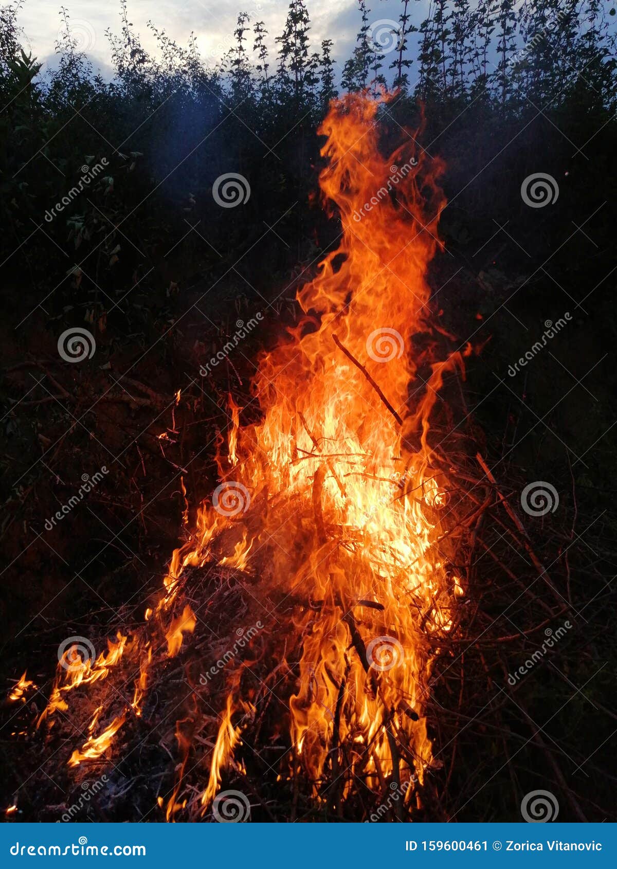 Fire in nature stock image. Image of forest, ozon, land - 159600461
