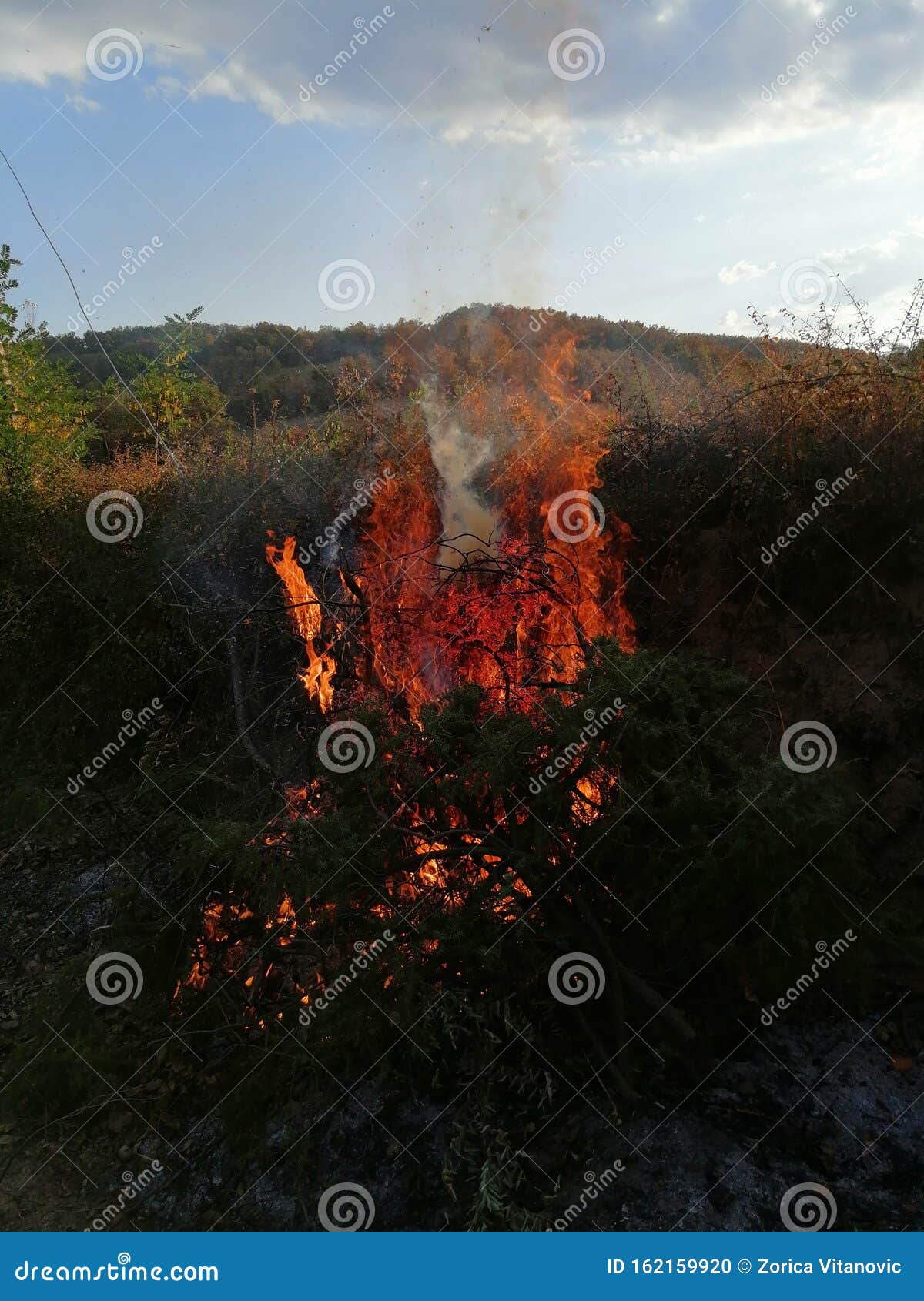 Fire in nature stock photo. Image of blue, land, nature - 162159920