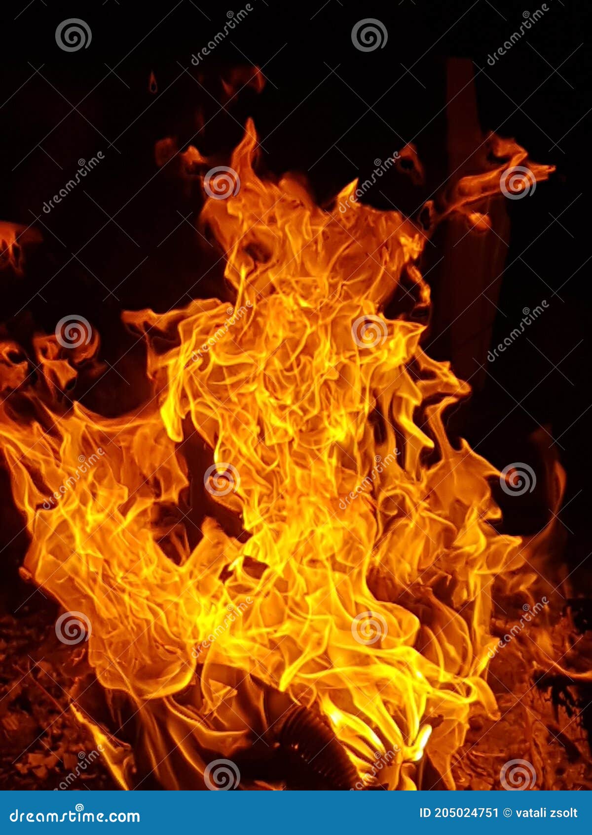 Fire nice photo stock image. Image of fire, quail, sunlight - 205024751