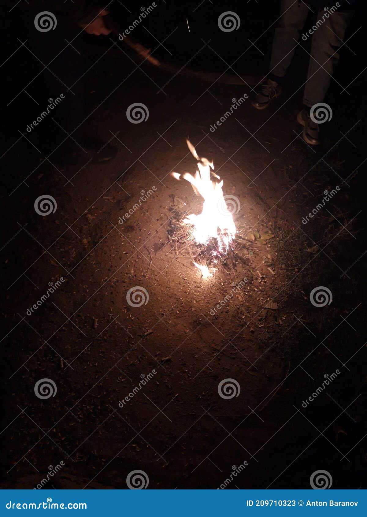 Fire in the night stock image. Image of forest, fire - 209710323