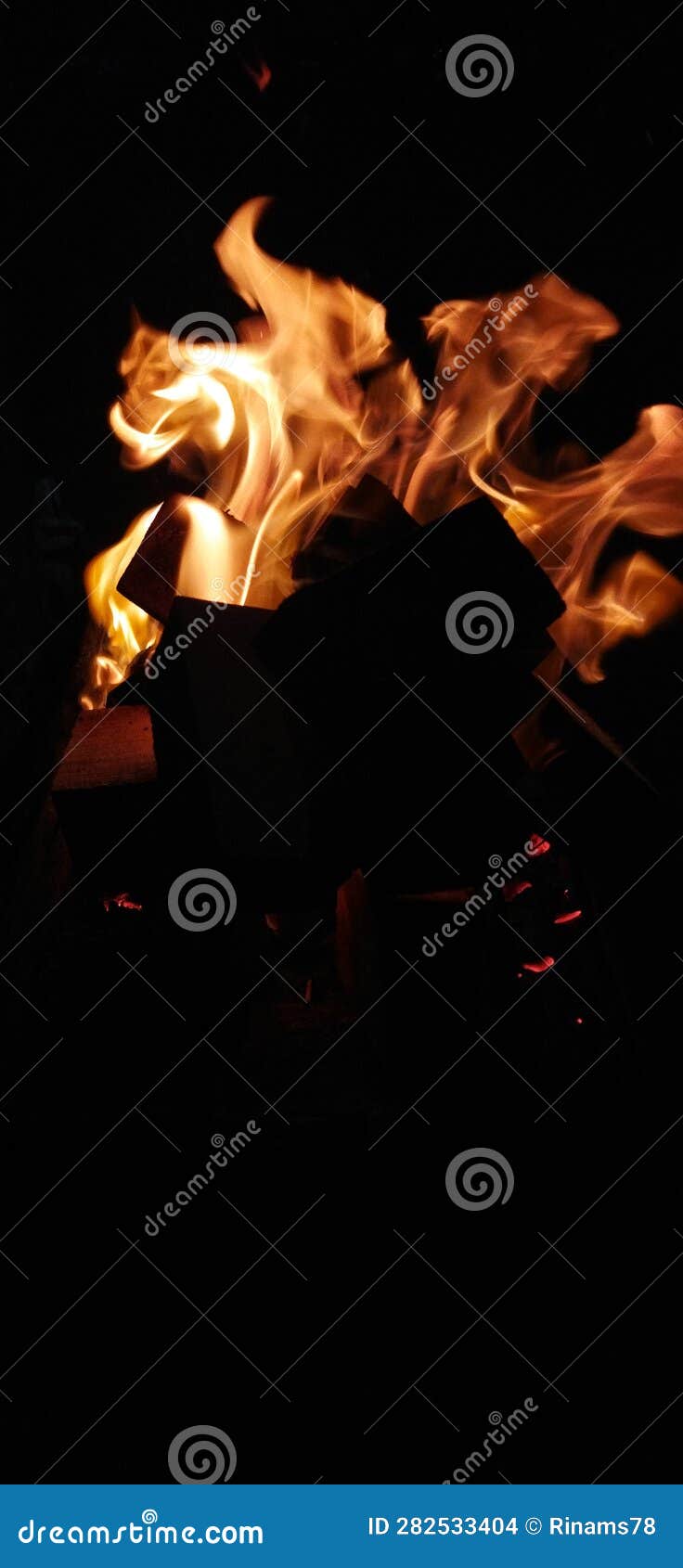 Fire in the night stock photo. Image of fire, burn, night - 282533404