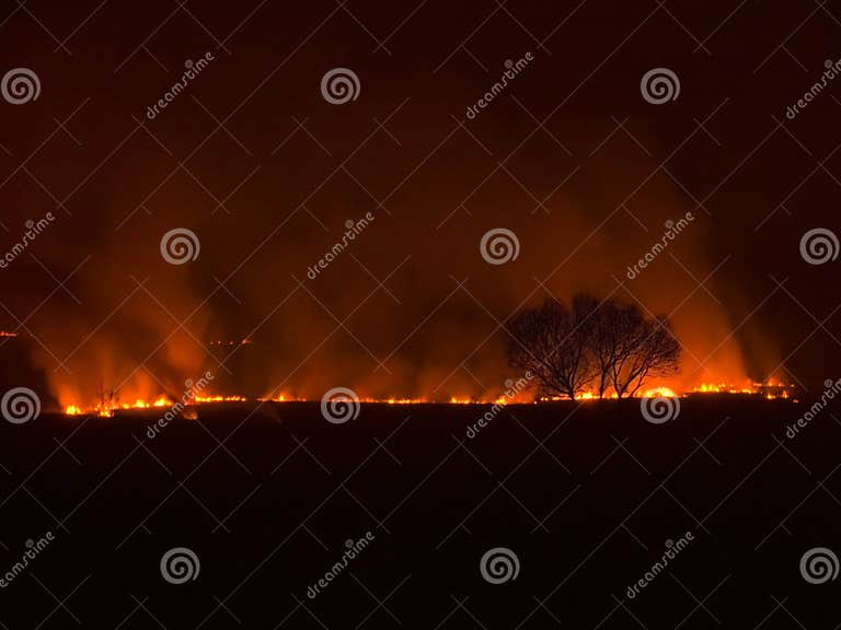 Fire in the night stock image. Image of conflagration, smoke - 575813