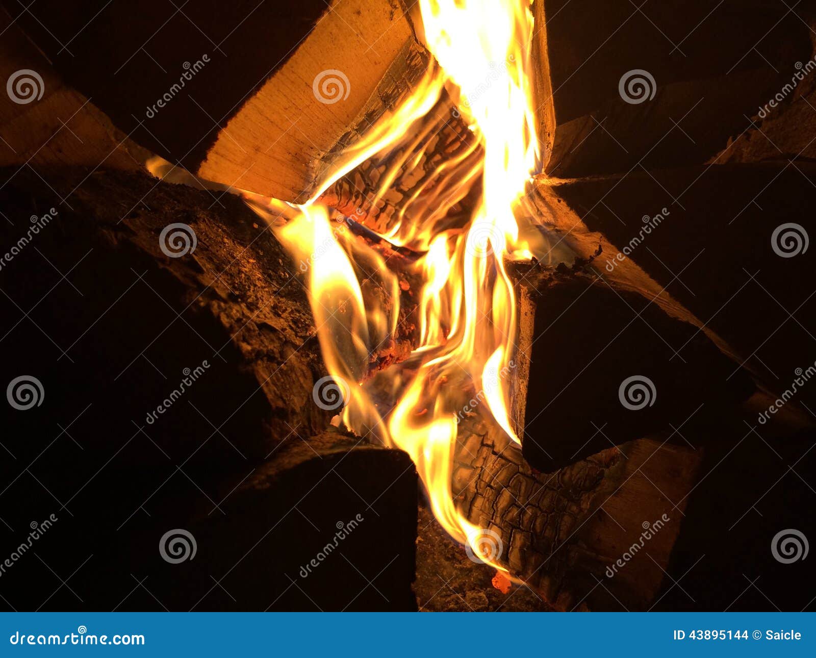 Fire at night stock photo. Image of light, night, firewoods - 43895144