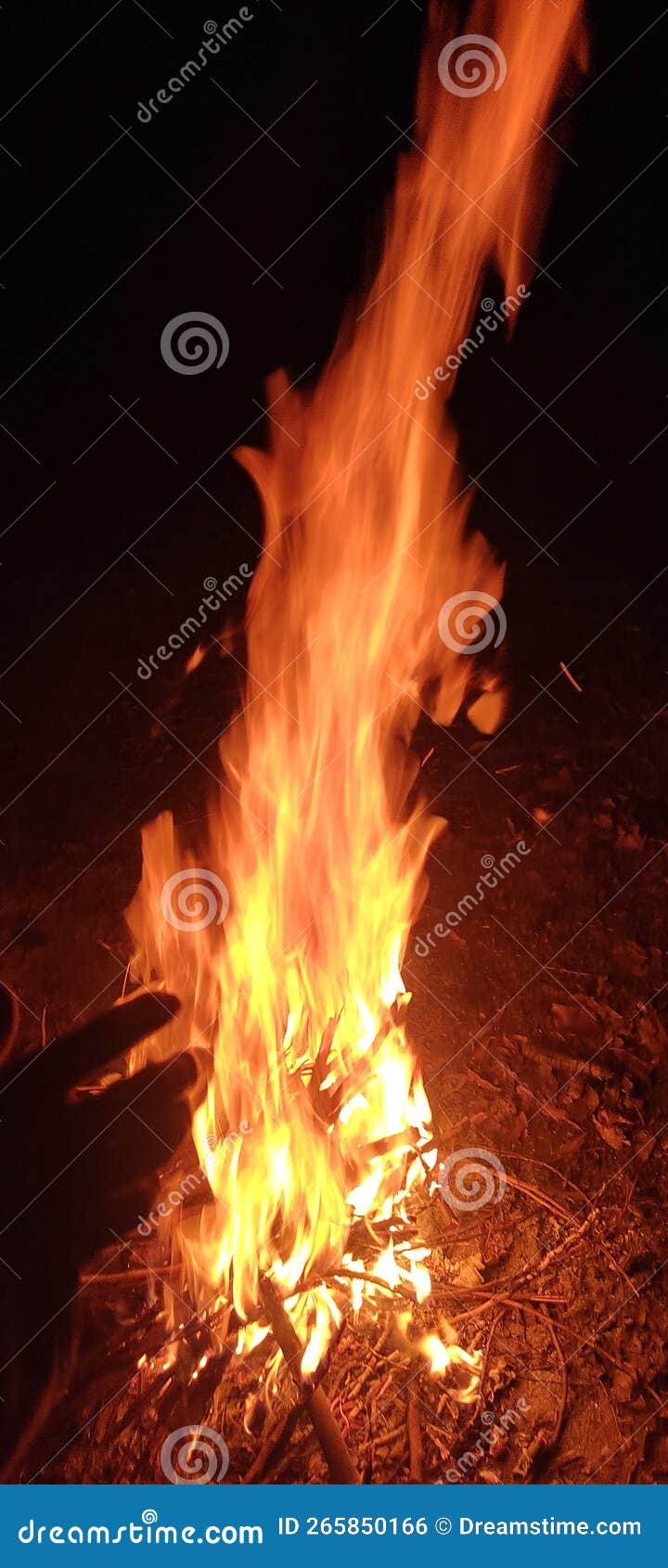 The Fire at Night is Looking so Beautiful and Very Bright Stock Photo ...