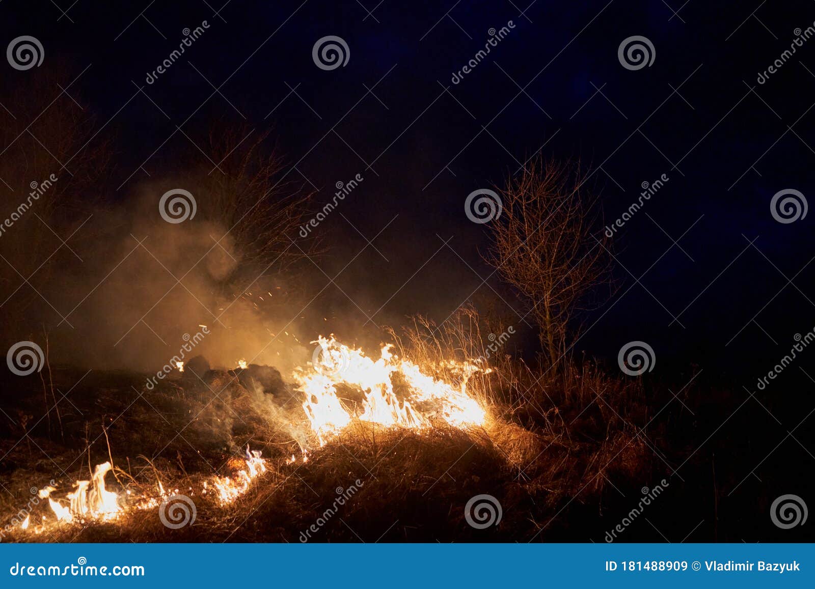 Fire at Night in Nature,burning of Dry Grass and Trees at Night Stock ...