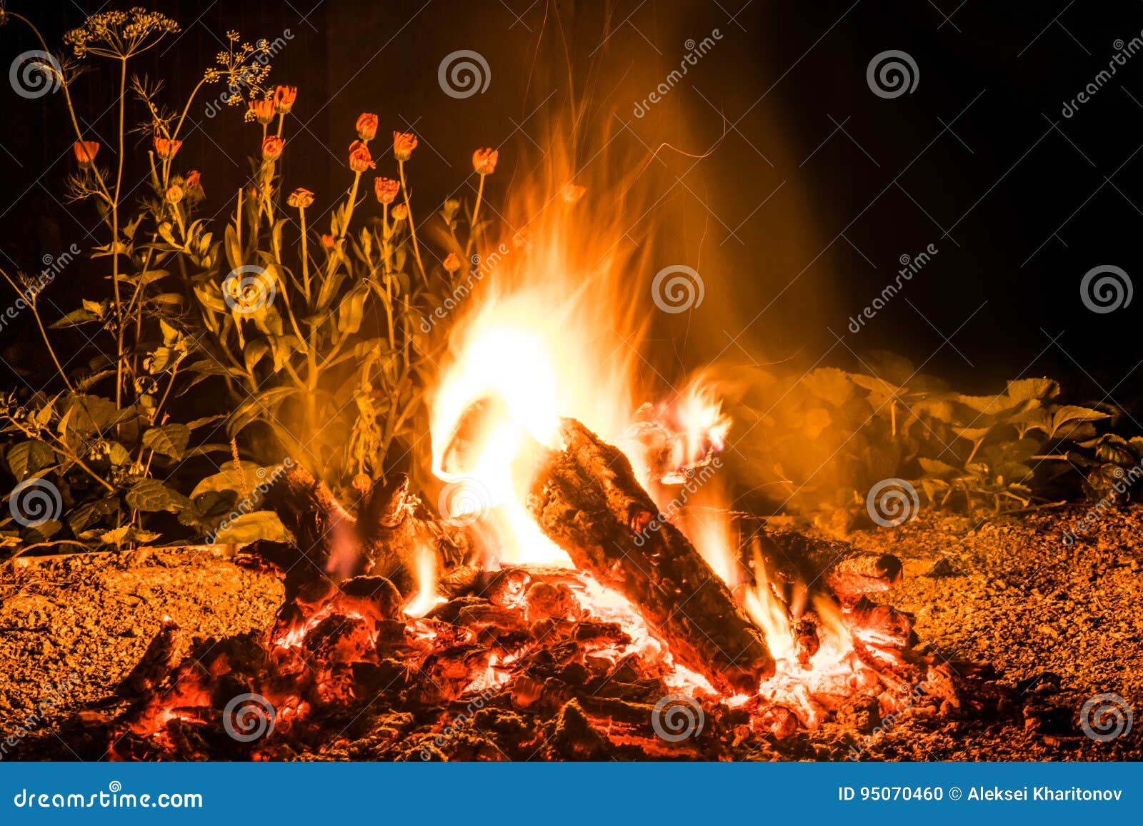 Fire at night stock photo. Image of yellow, close, abstract - 95070460