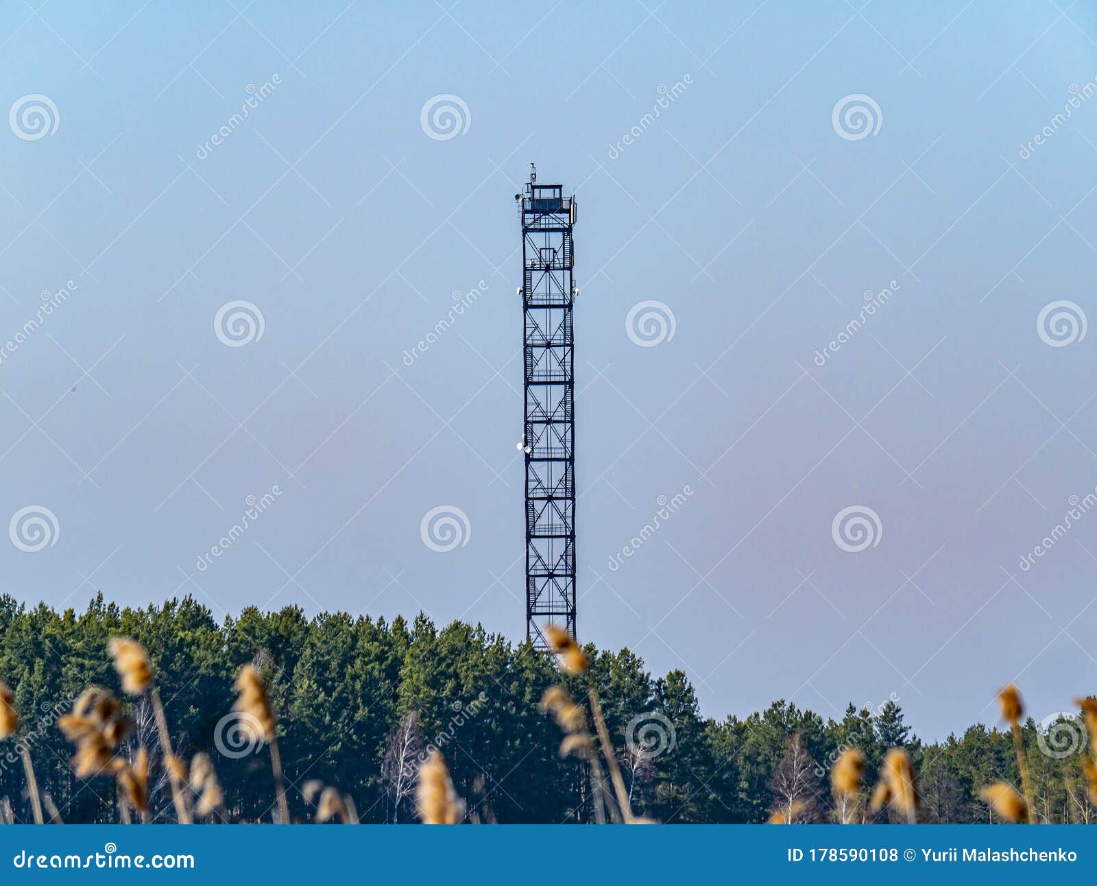 Fire Observation Tower in the Forest Against a Blue Sky Stock Photo ...