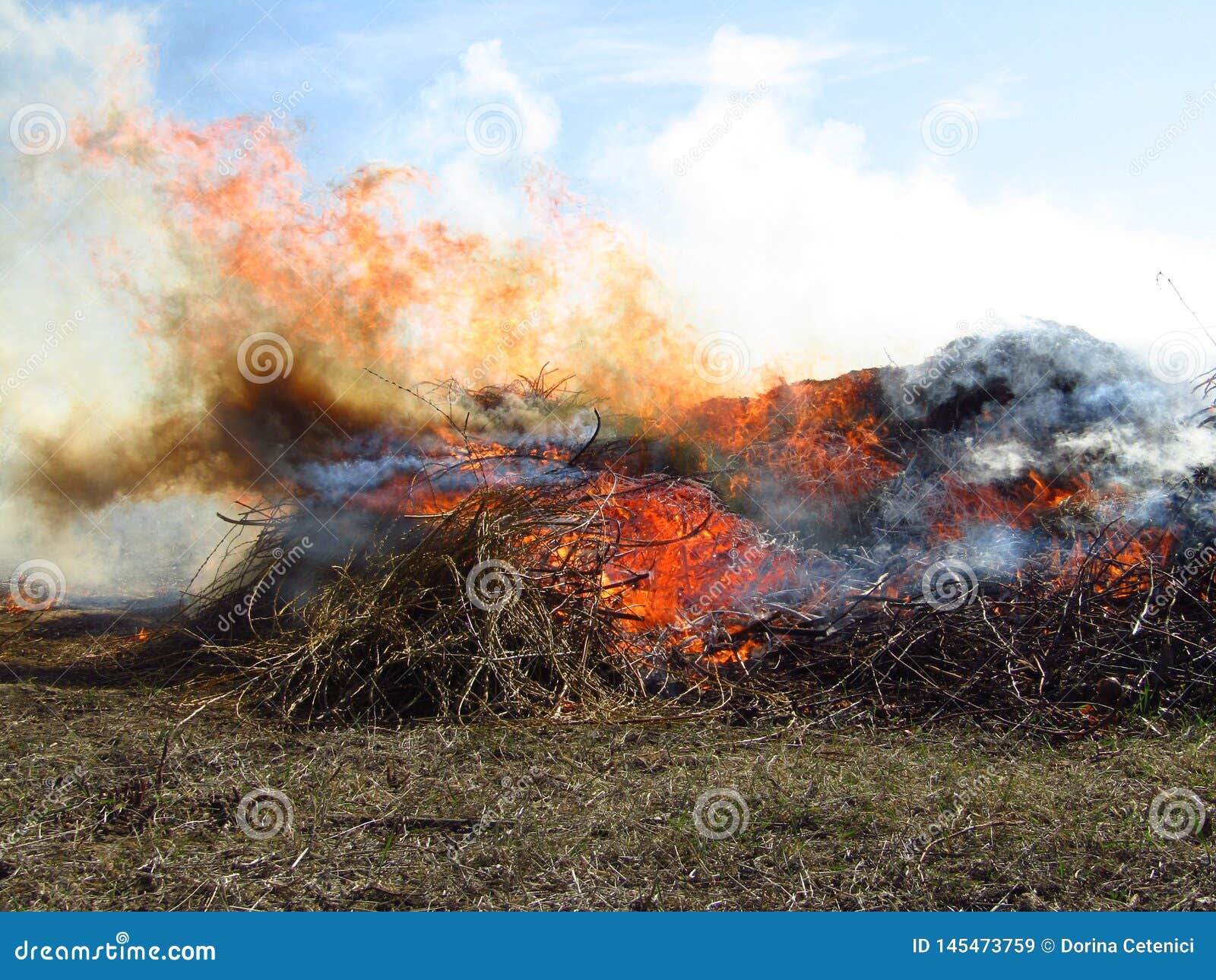Fire Open. Burning Agricultural Waste Stock Image - Image of carbon ... Fire Open. Burning Agricultural Waste Stock Image - Image of carbon ...