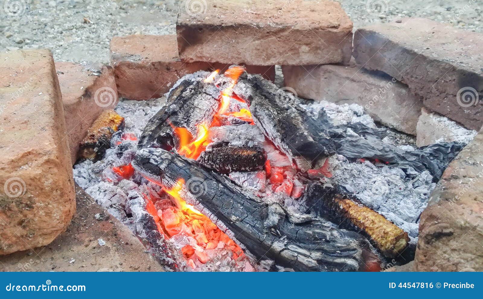 Fire outdoor stock photo. Image of wood, outdoor, daylight - 44547816