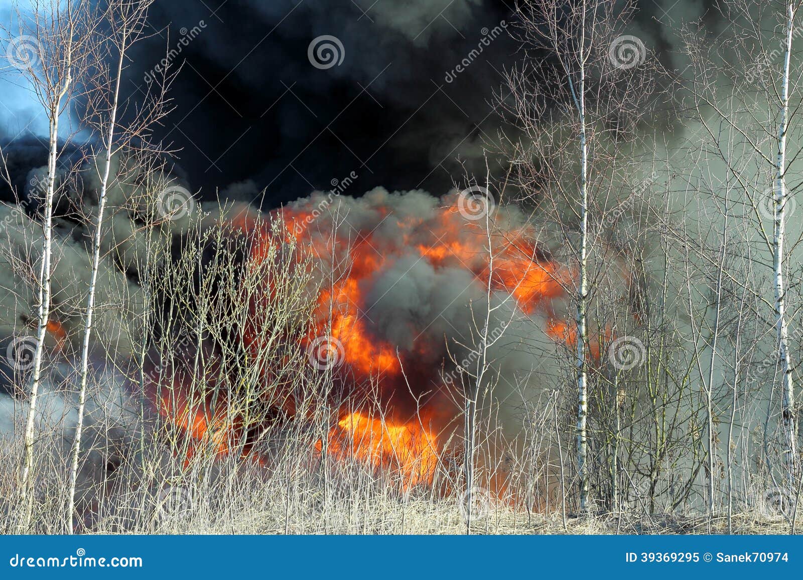Fire Outdoors stock image. Image of burning, fire, earth - 39369295