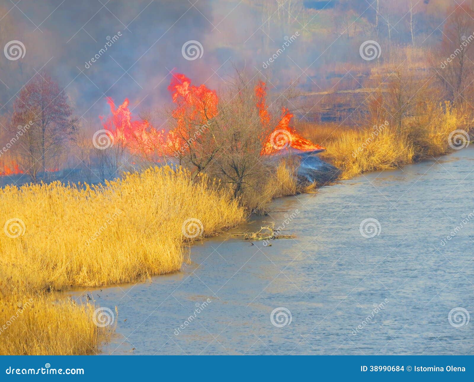 Fire over the river. stock photo. Image of element, field - 38990684