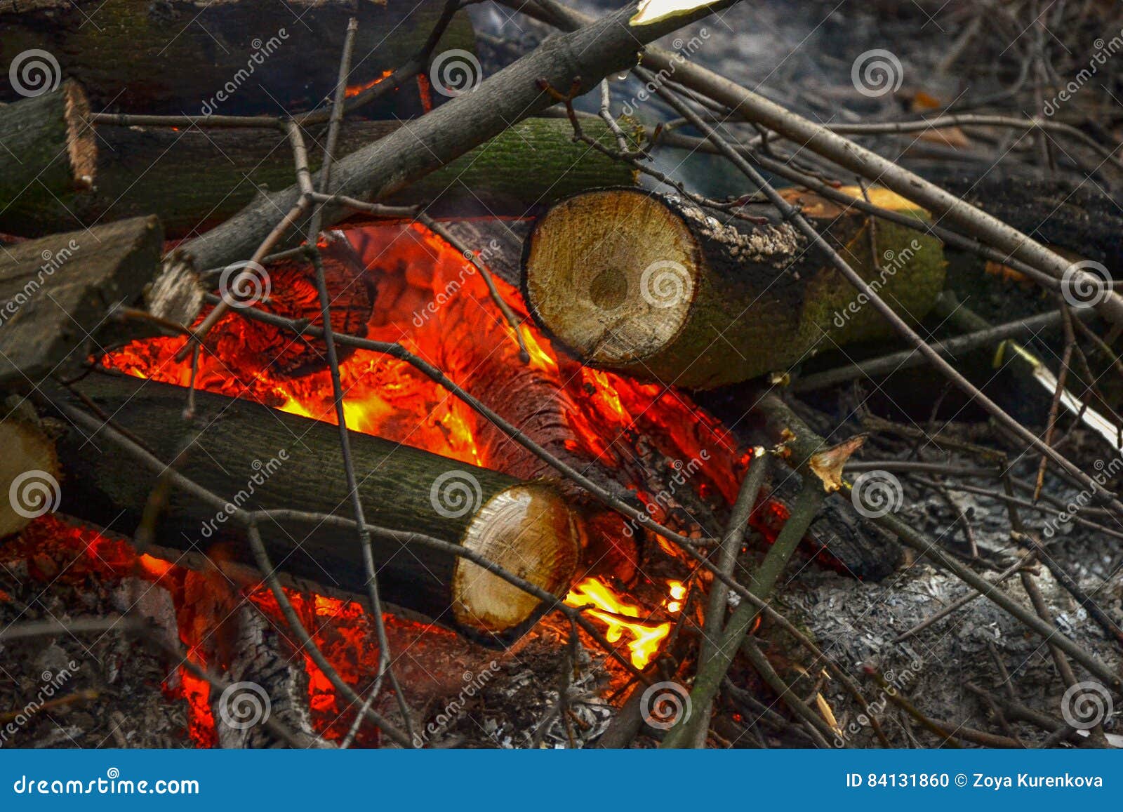 Fire in the Park stock photo. Image of orange, rubbish - 84131860
