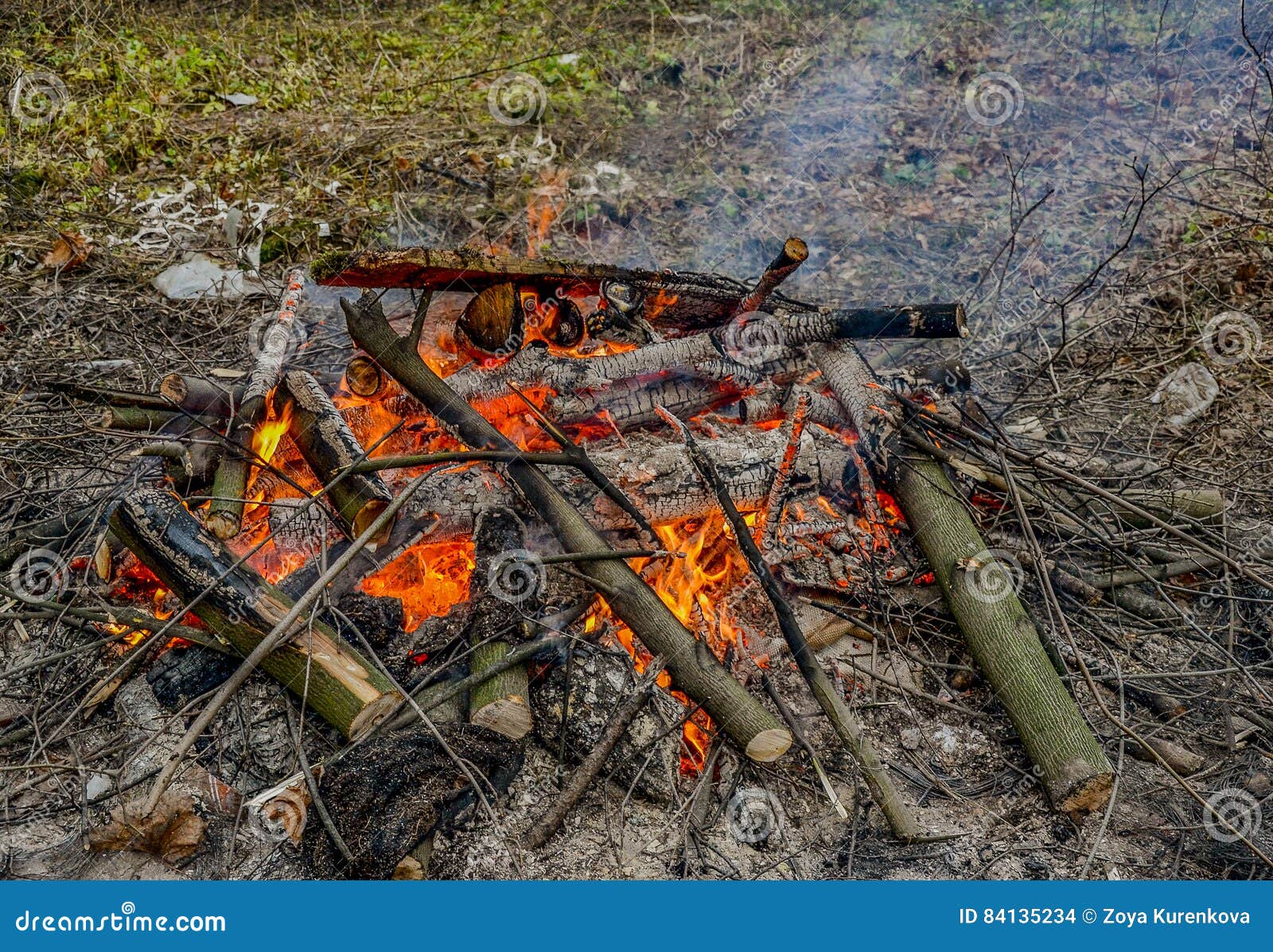 Fire in the Park stock photo. Image of flammable, sparks - 84135234