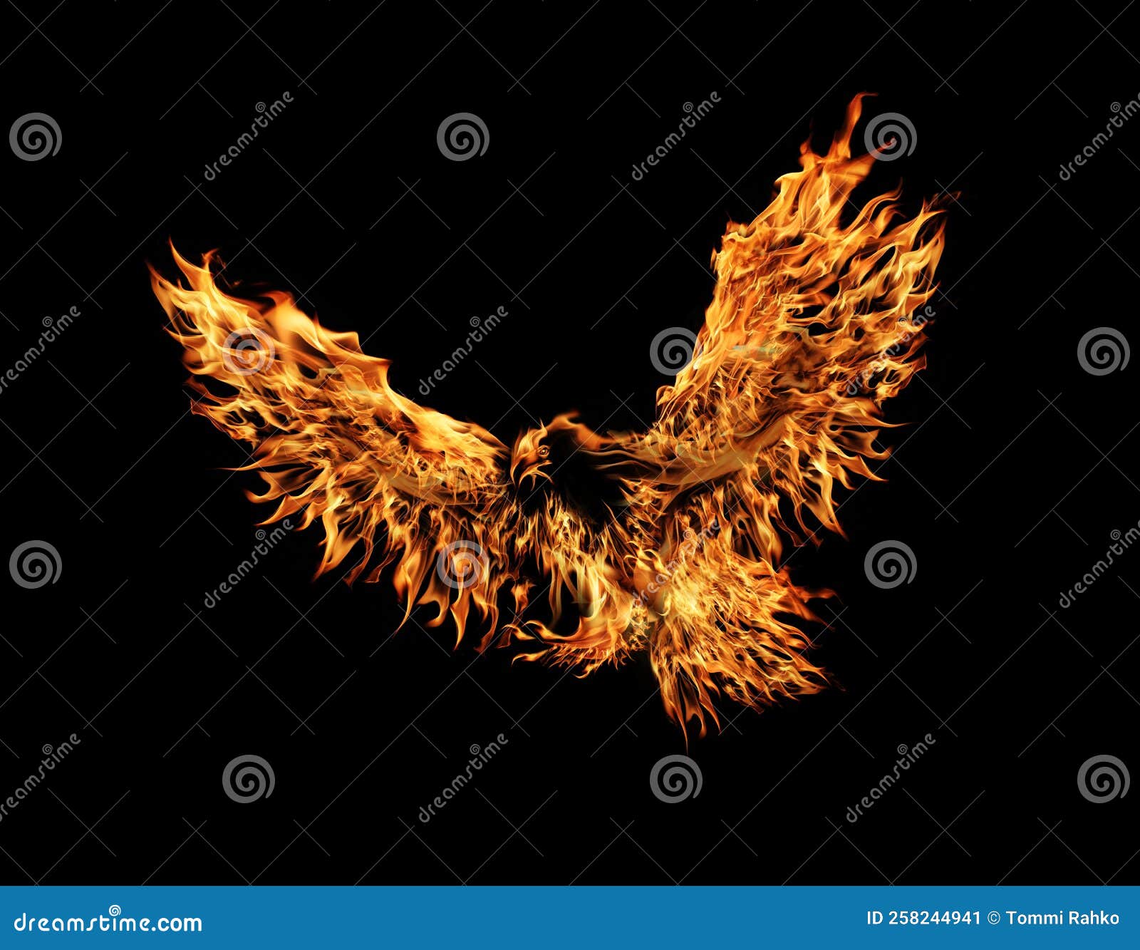 Rising Phoenix Emblems Cartoon Vector | CartoonDealer.com #253234789