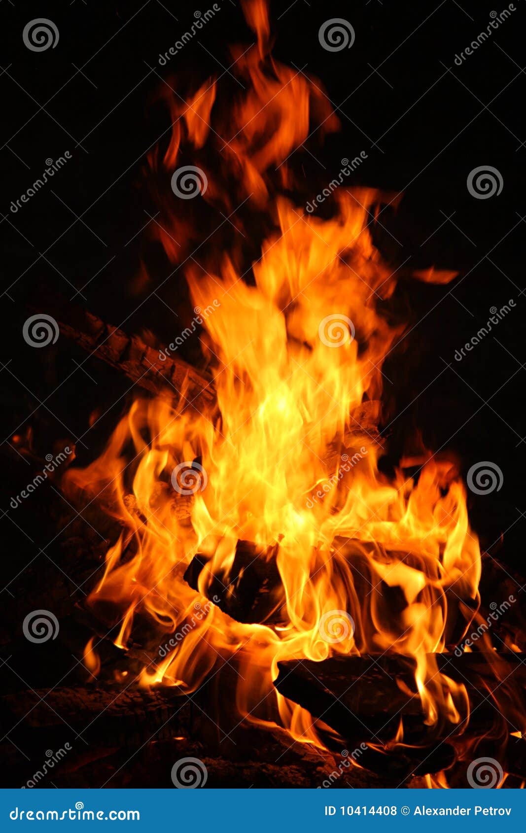 Fire on the picnic stock photo. Image of camp, nature - 10414408