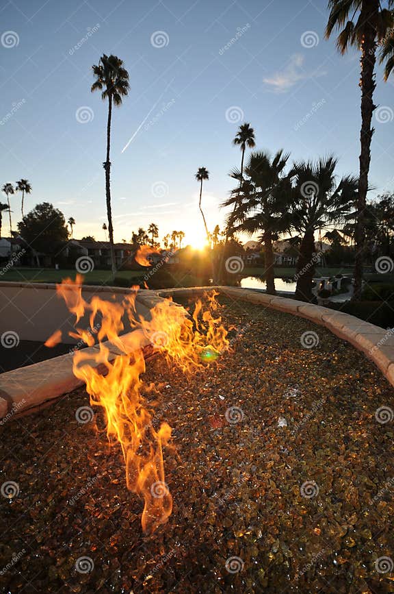 Fire Pit Flames and Palm Trees Stock Image - Image of vertical ...