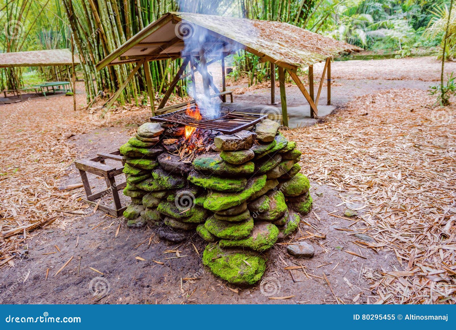 Fire Pit Place with Stones in the Jungle for Barbecue Outdoors Camping ...