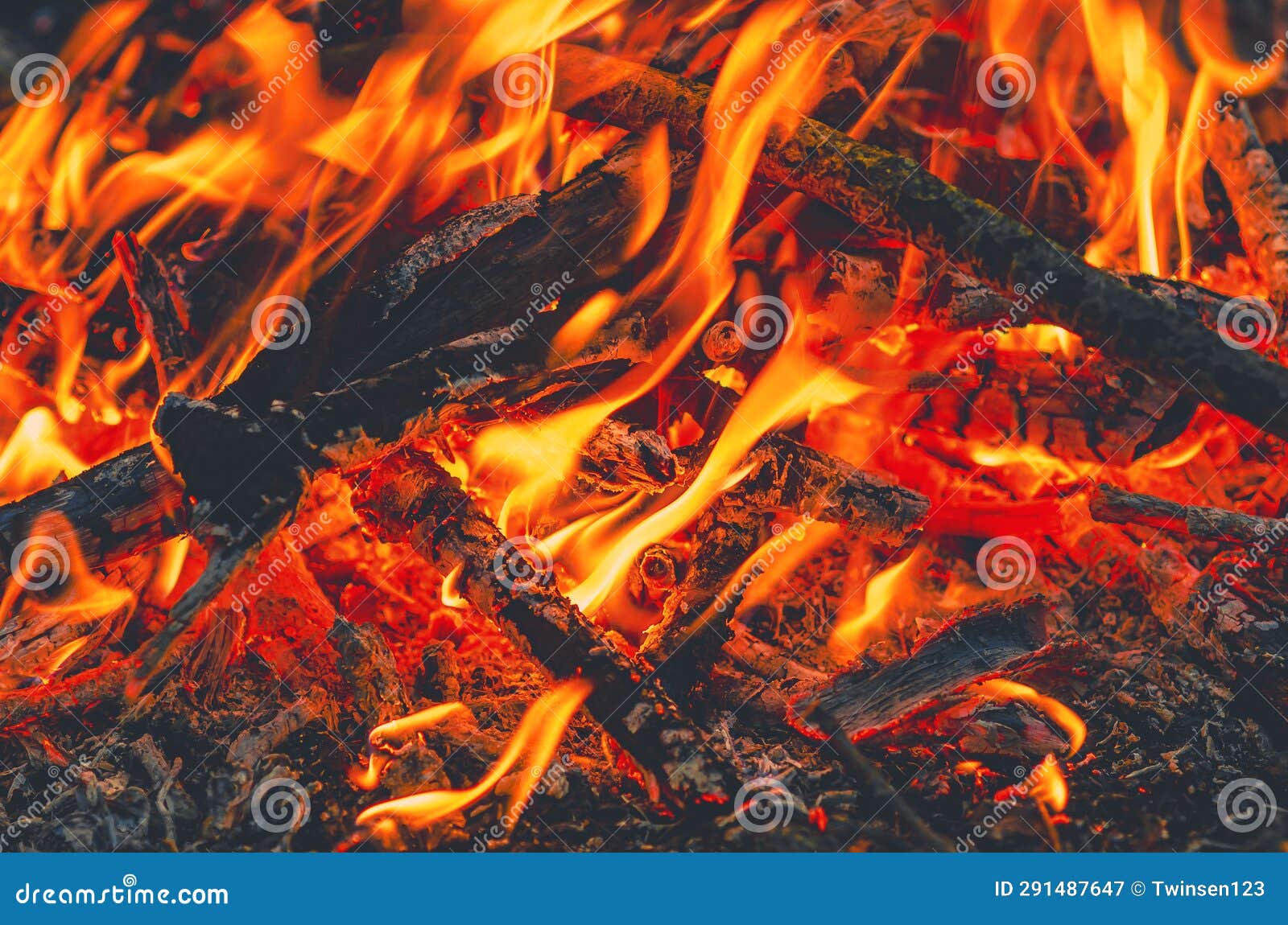 Fire Pit, Wood Burning in the Fire Pit Close-up of Fire Stock Image ...