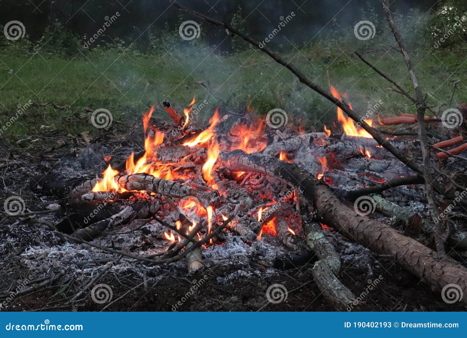 Fire Pit WV stock image. Image of leaves, ashes, burning - 190402193
