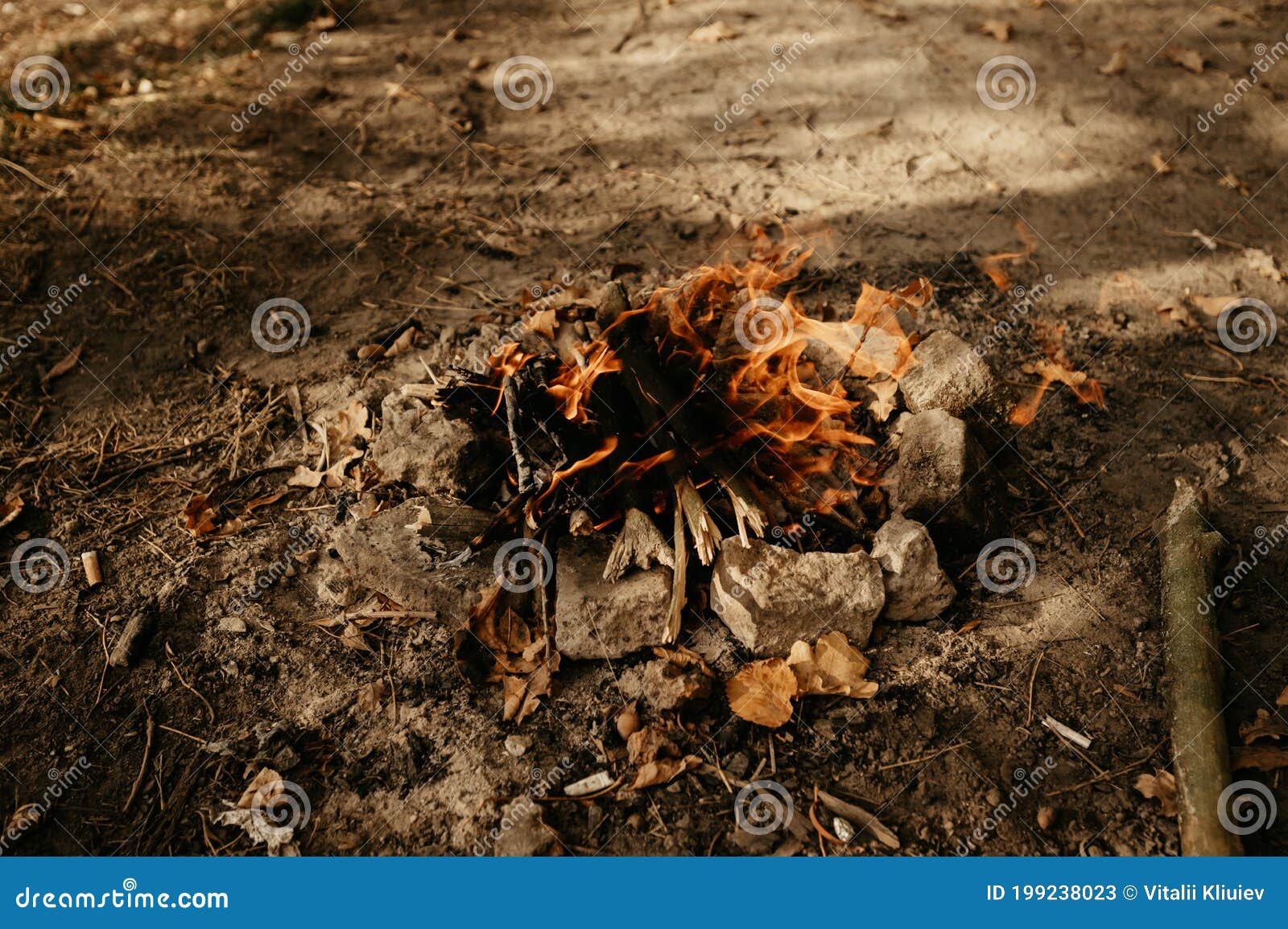 Fire place in the forest stock image. Image of blaze - 199238023