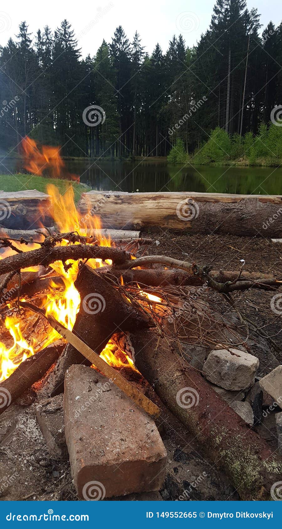 Fire Place in the Forest Near Lake Stock Image - Image of danger ...